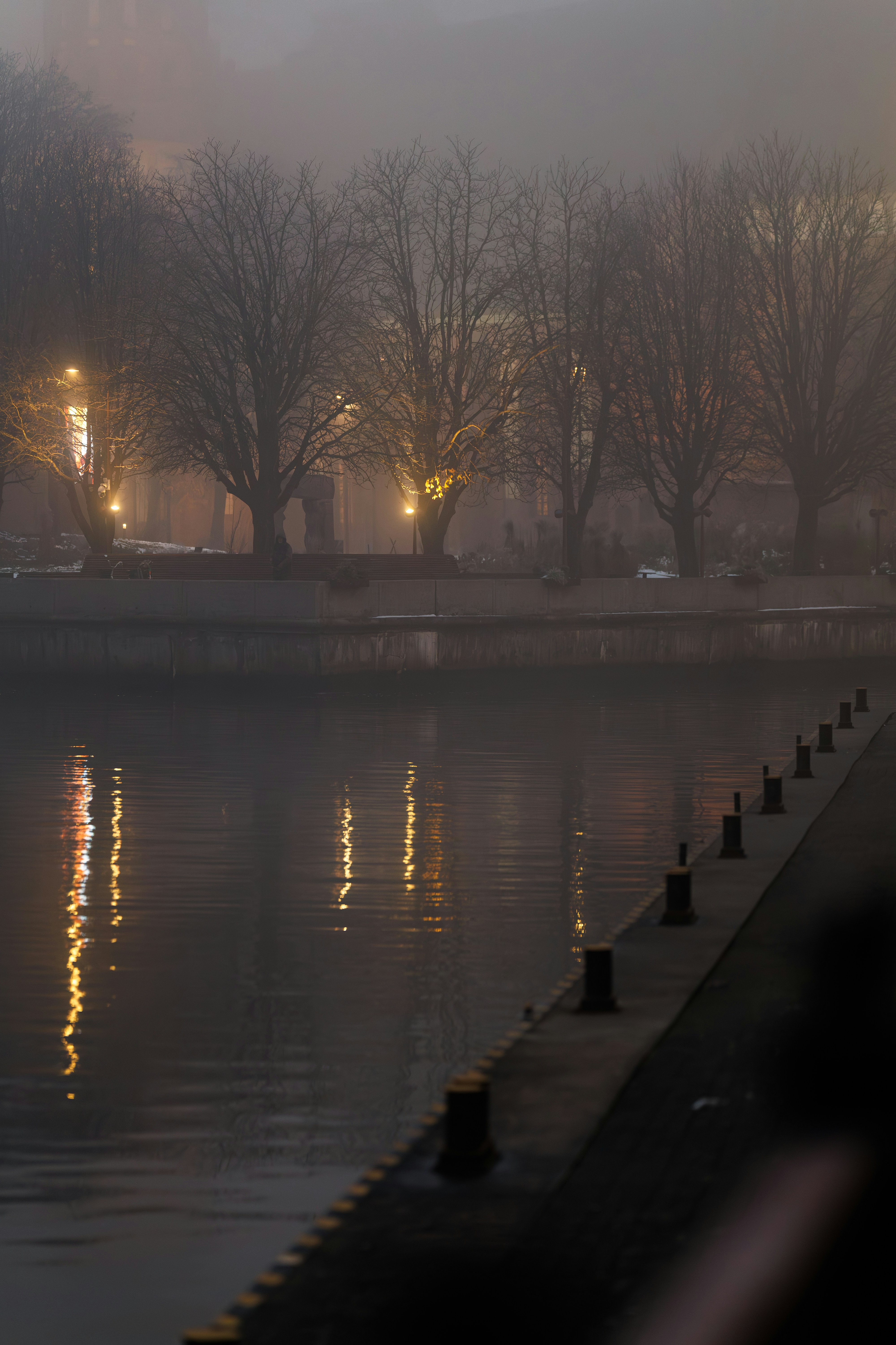 Misty riverfront at dusk with streetlights and trees lining the embankment