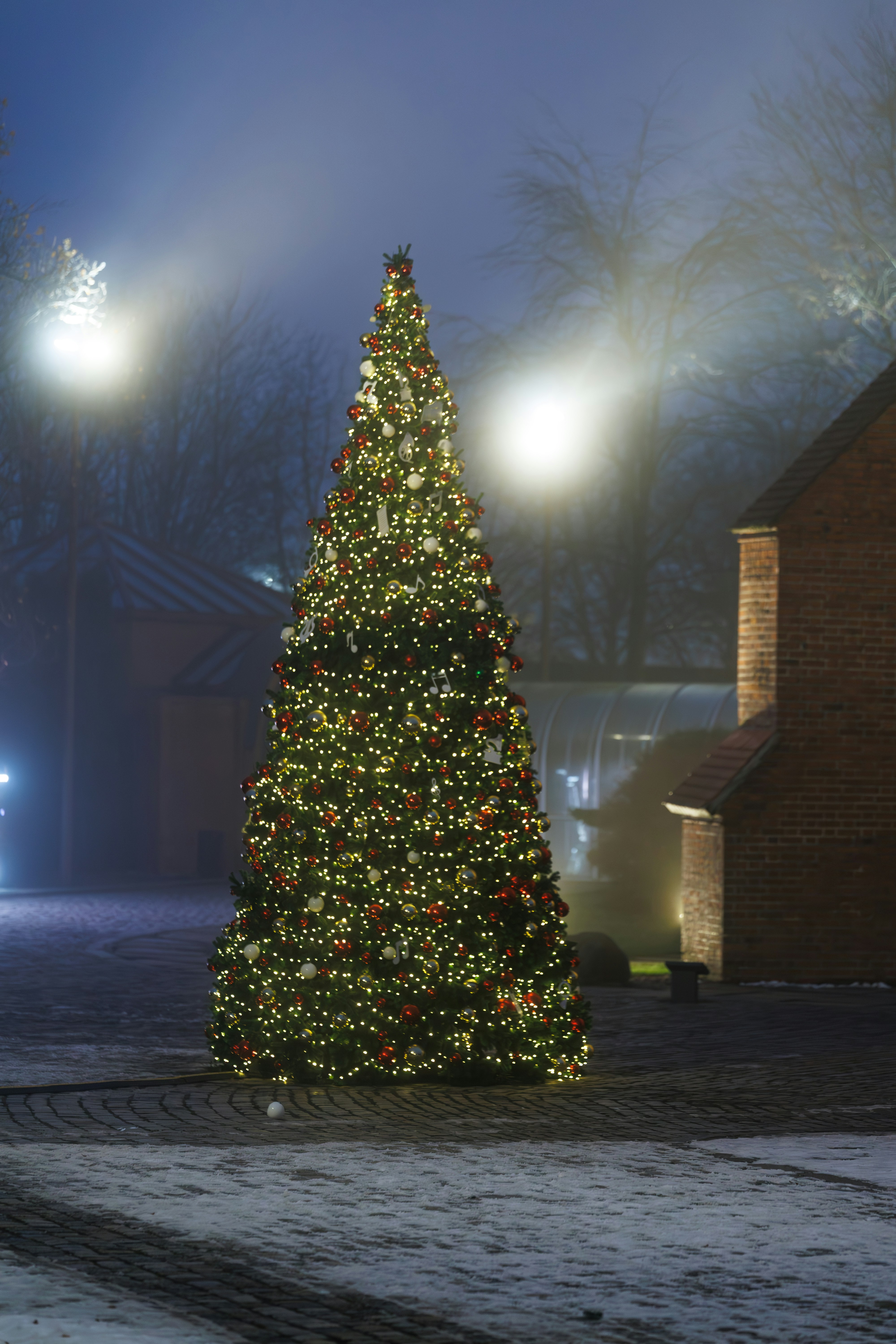 Lone Christmas Tree Standing Guard at Frosty Campus Square