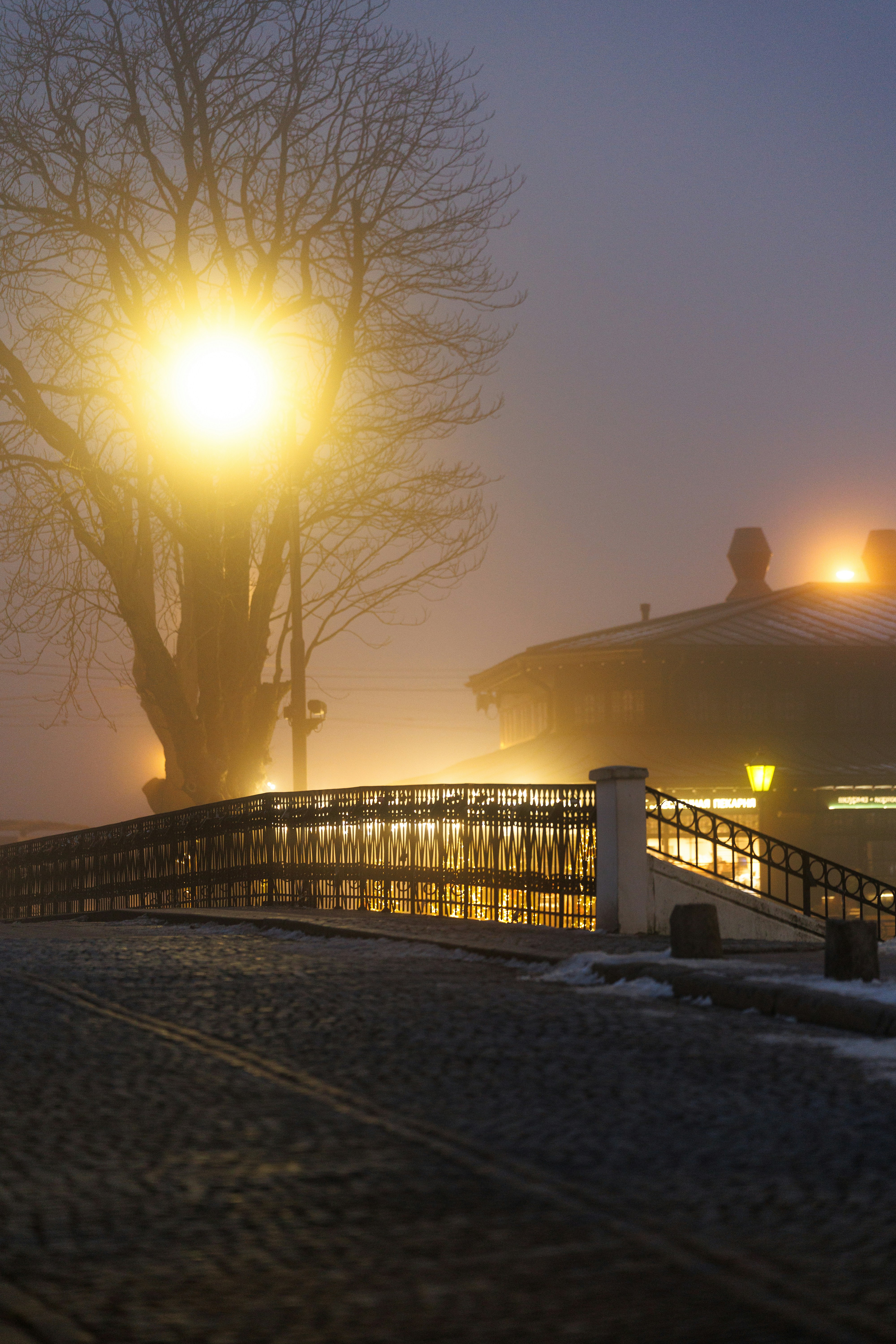 Foggy riverside promenade bathed in warm streetlight glow