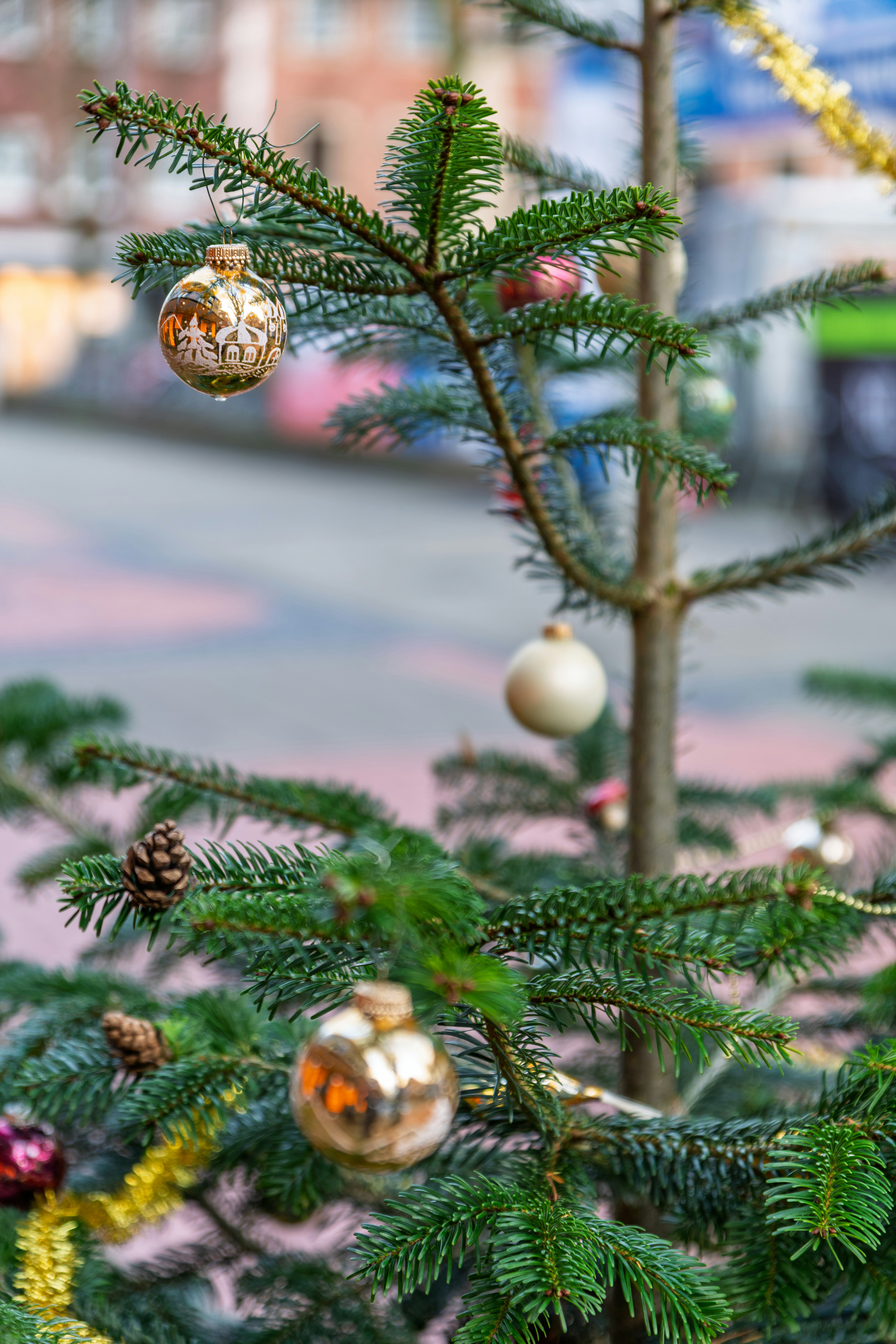 Ornamented Branch: A Small Christmas Tree in Focus