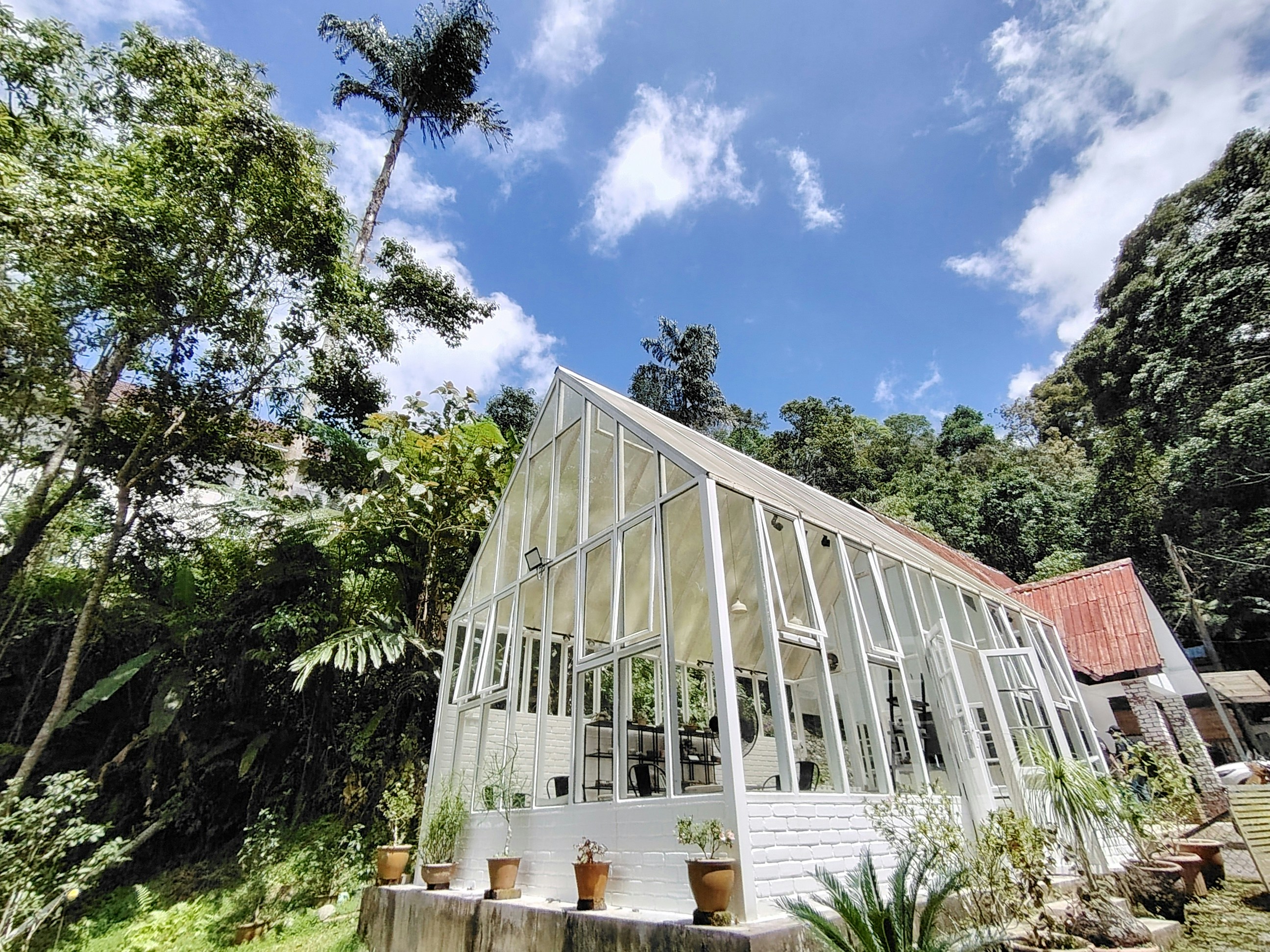 Sample photo from Honor X9b