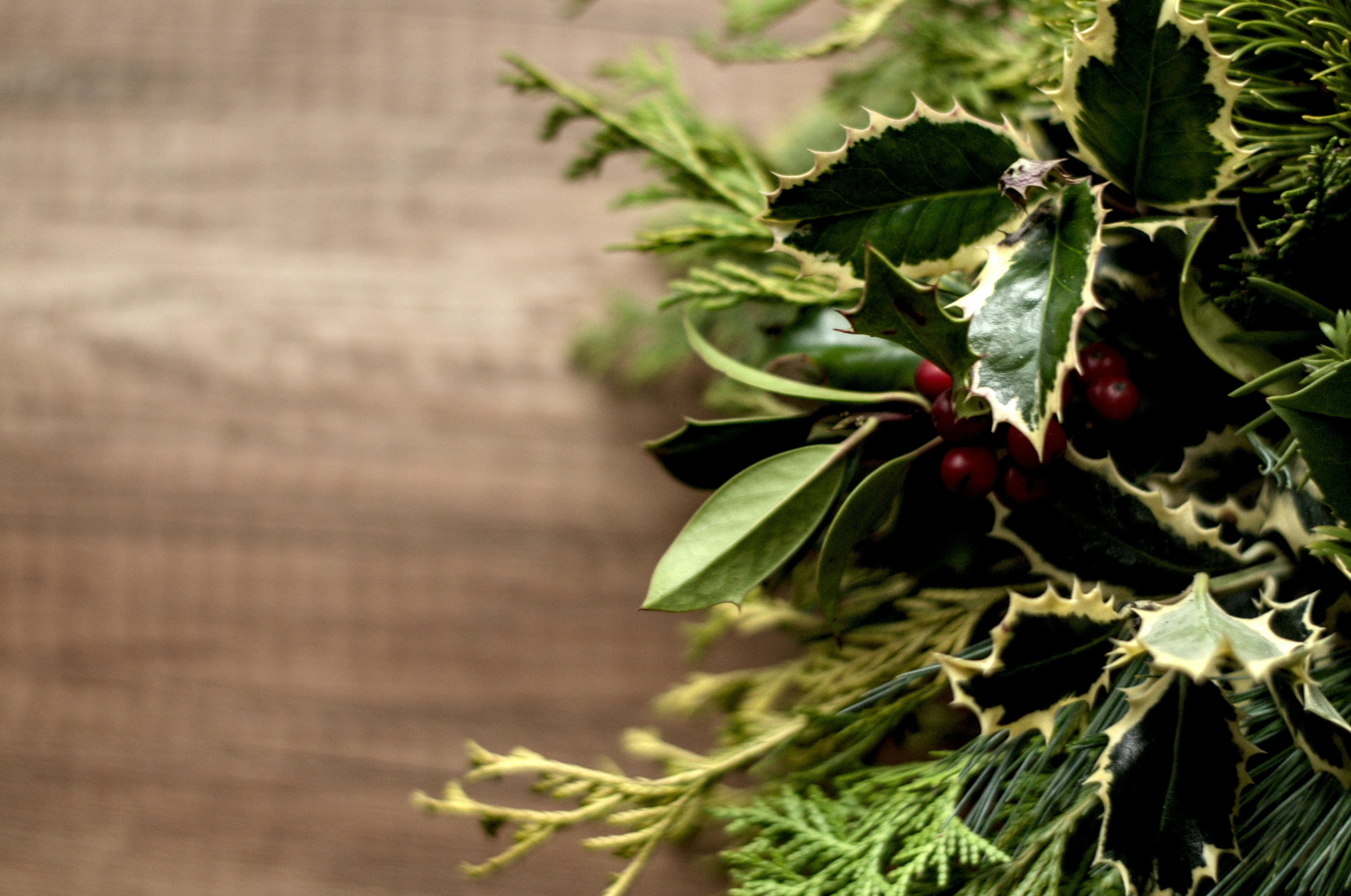 Photo by Petra Bednarova with Nikon D5100