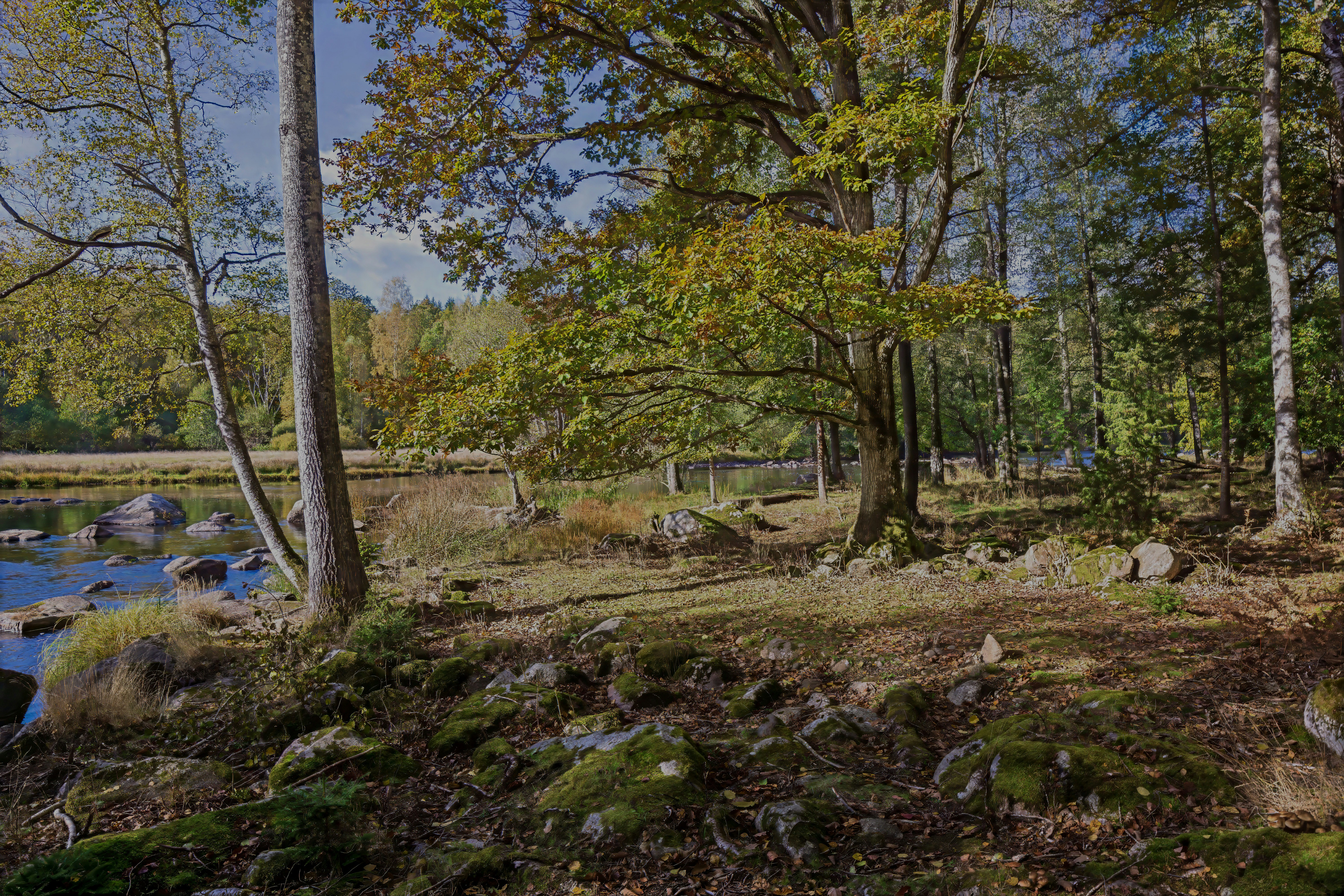 Photo by Ingemar Johnsson with Sony Alpha 77