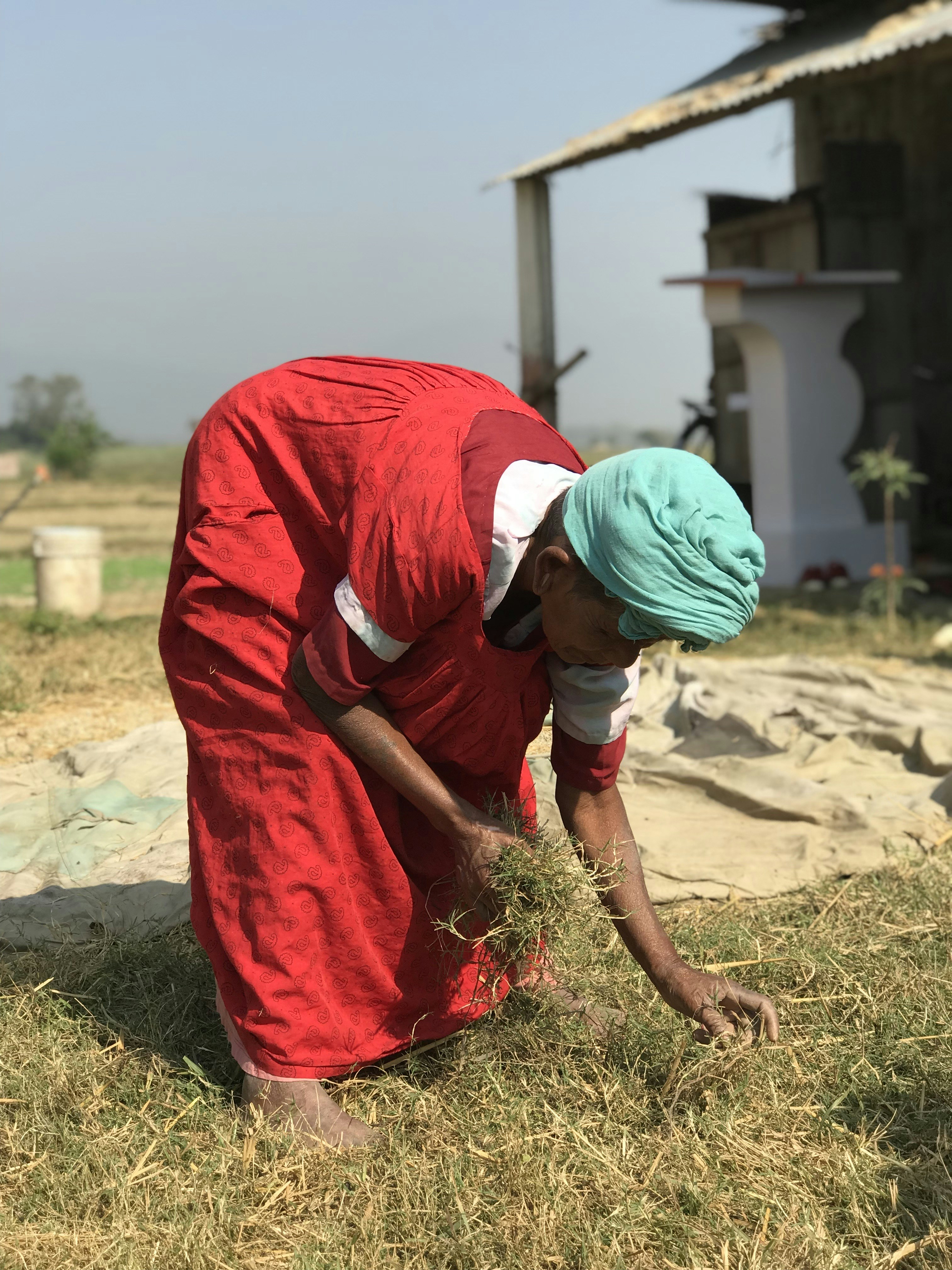 Photo by Richard Saunders with Apple iPhone 7 Plus