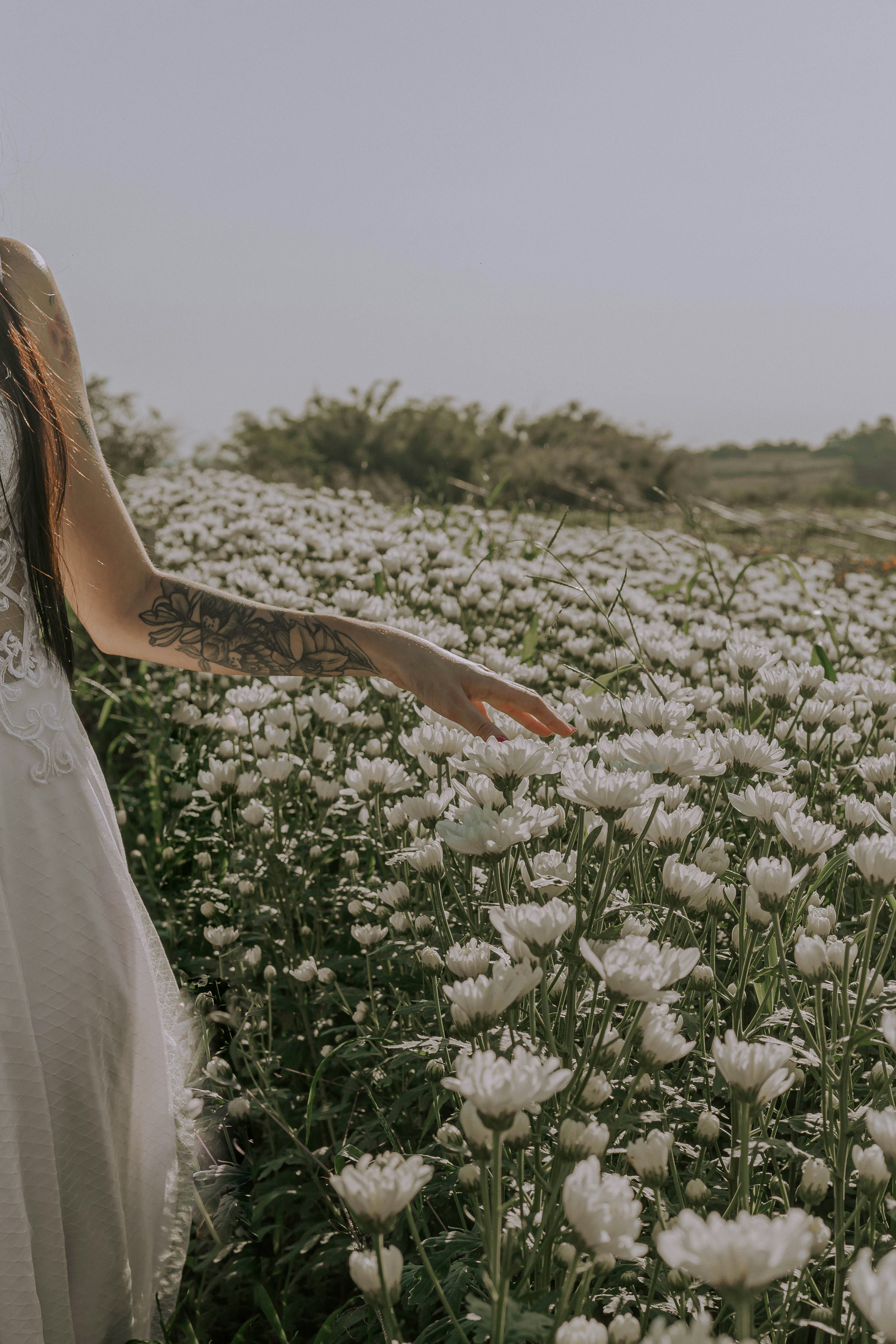 Photo by Laura Oliveira with Canon EOS 6D