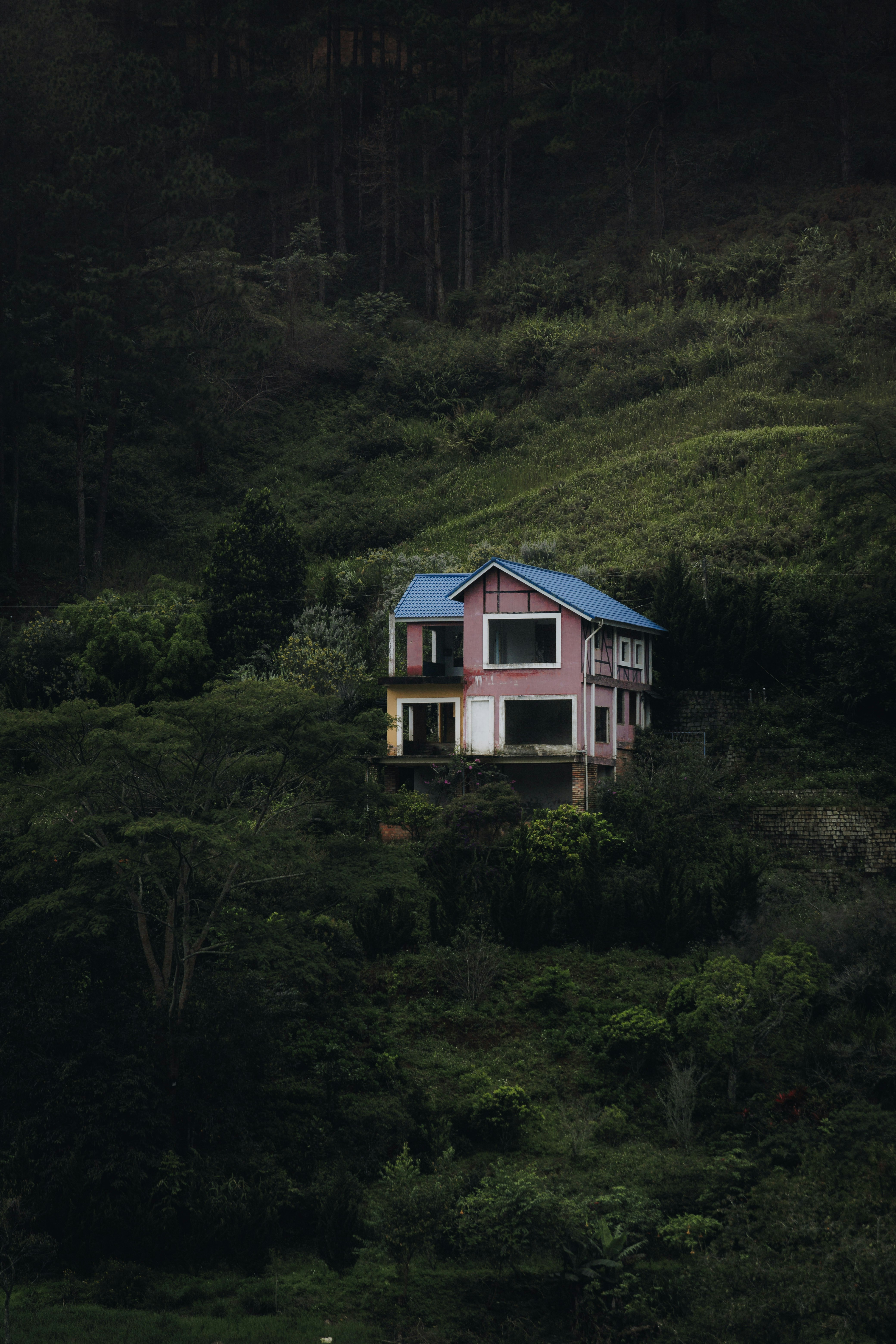 Pink House on the Slope: A Quiet Postcard in the Pines