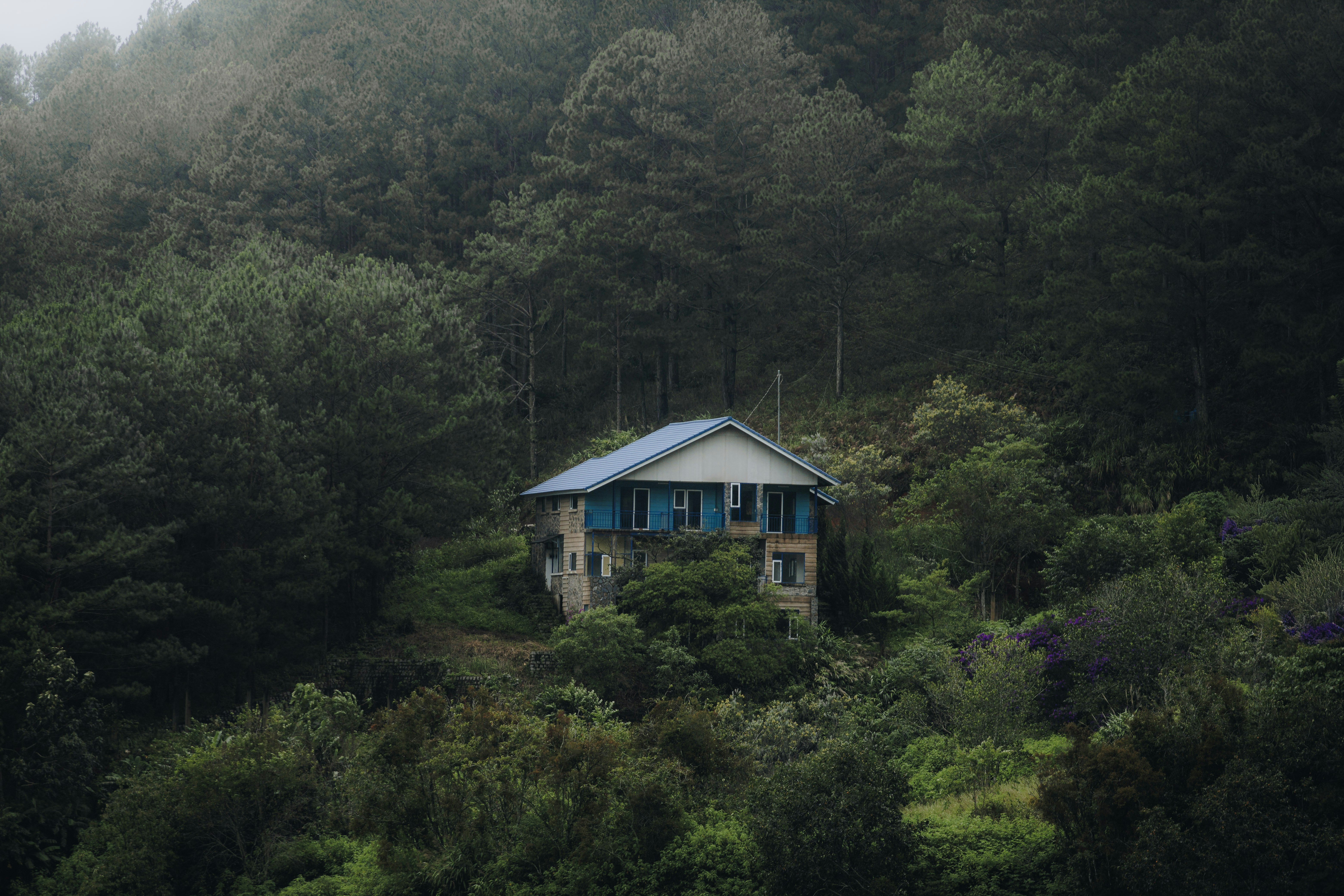 Photo by DM David with Canon EOS RP