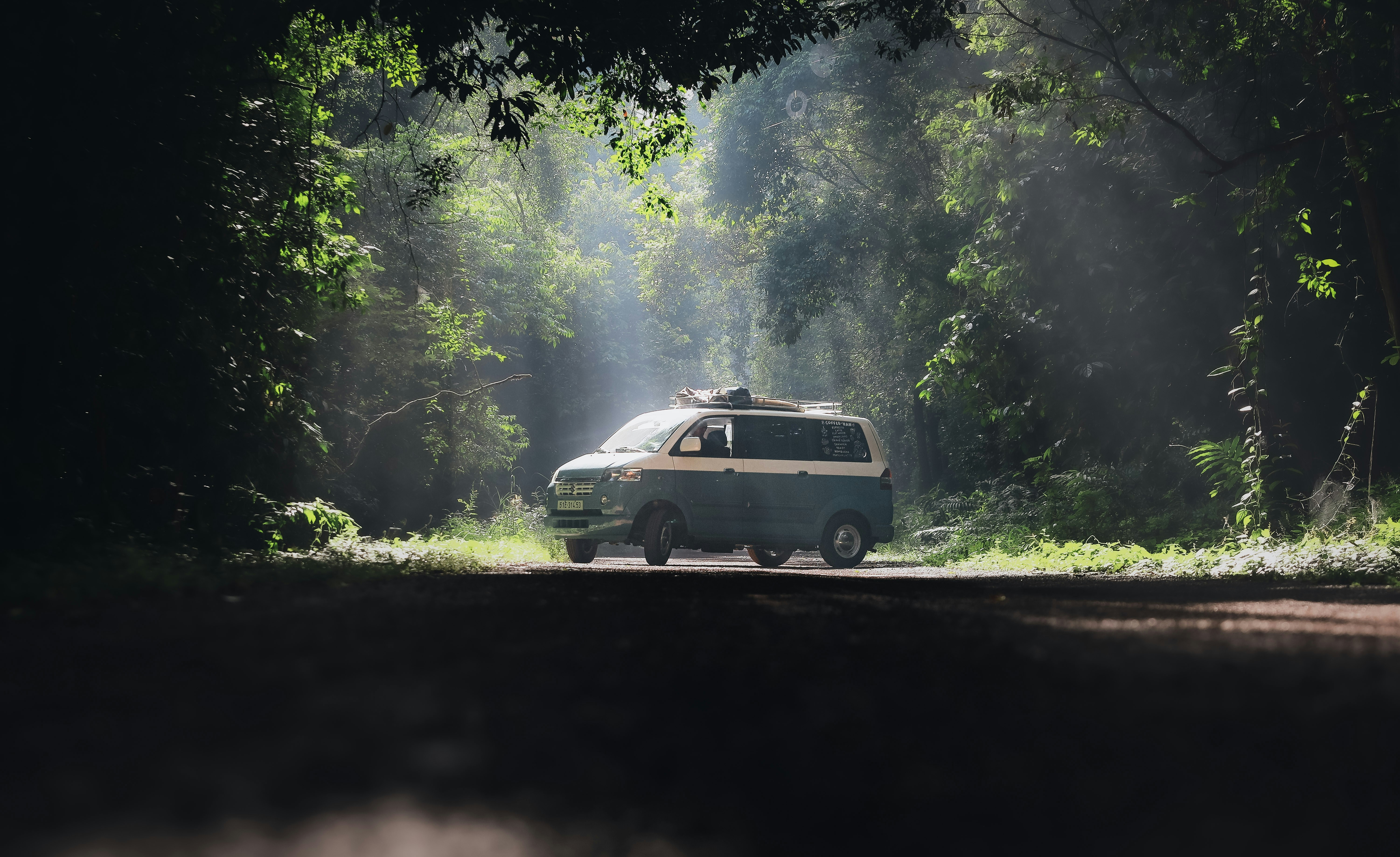Sunlit Camper in a Quiet Forest Road