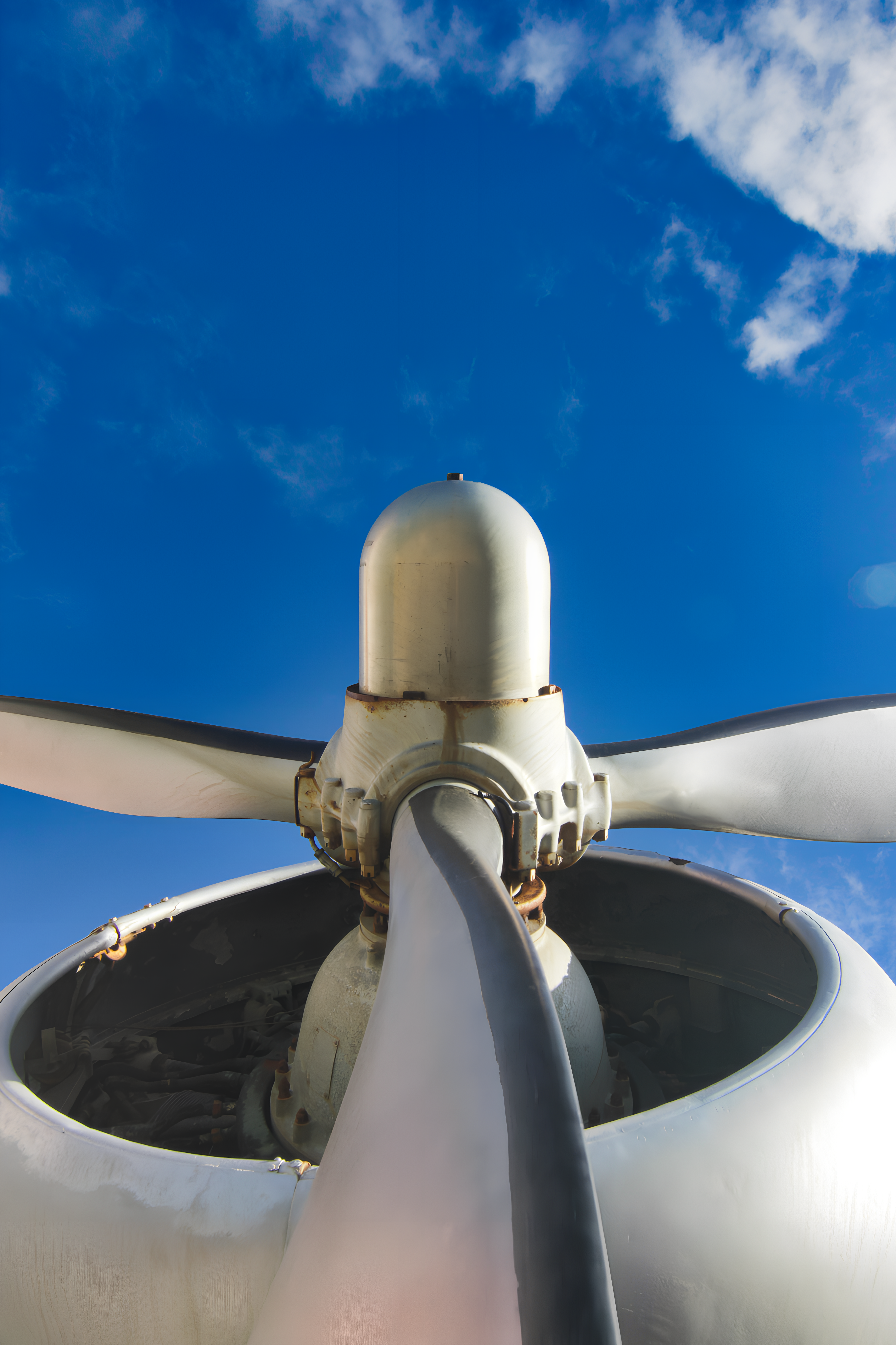 Photo by Marc Snailum with Canon EOS 7D