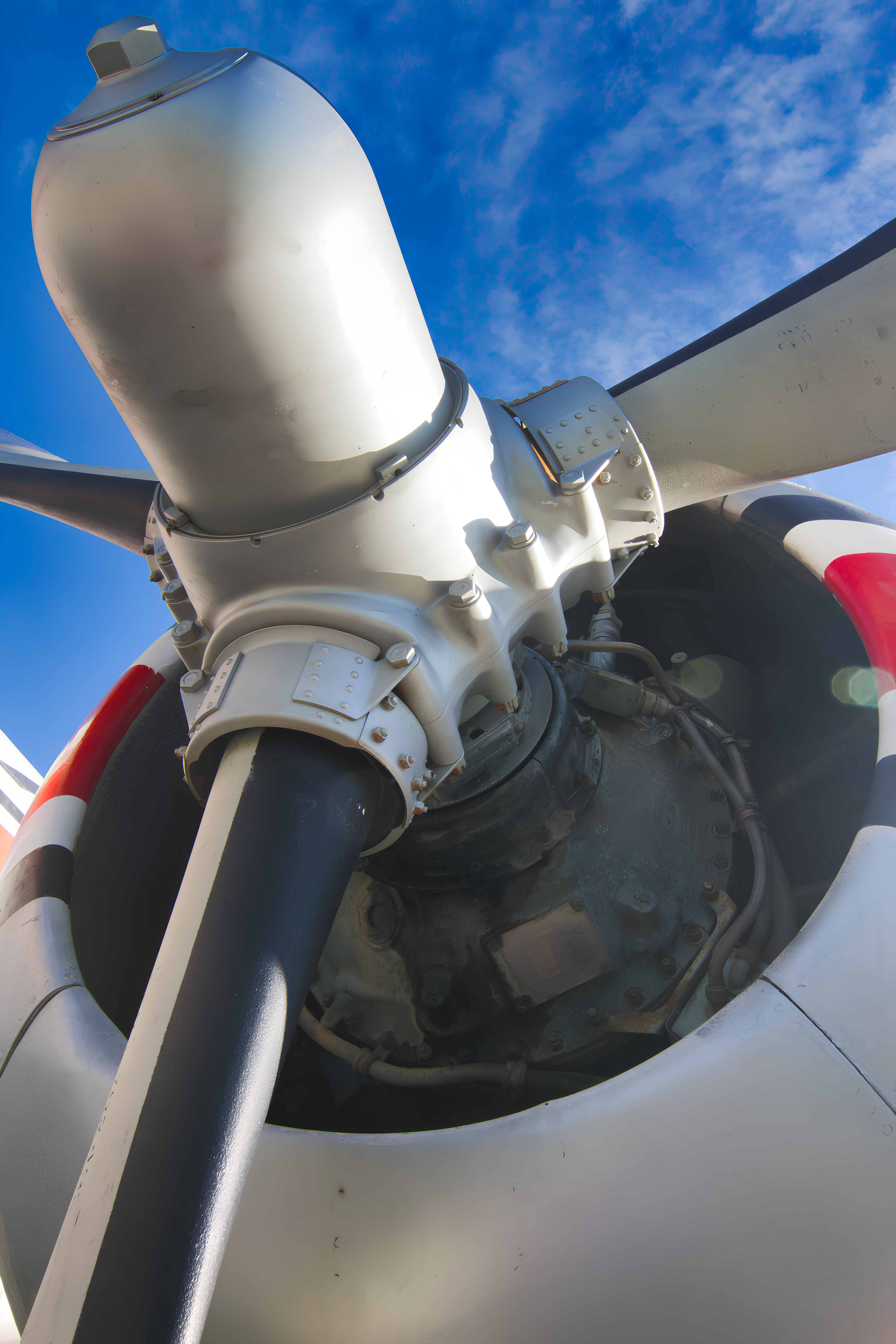 Photo by Marc Snailum with Canon EOS 7D