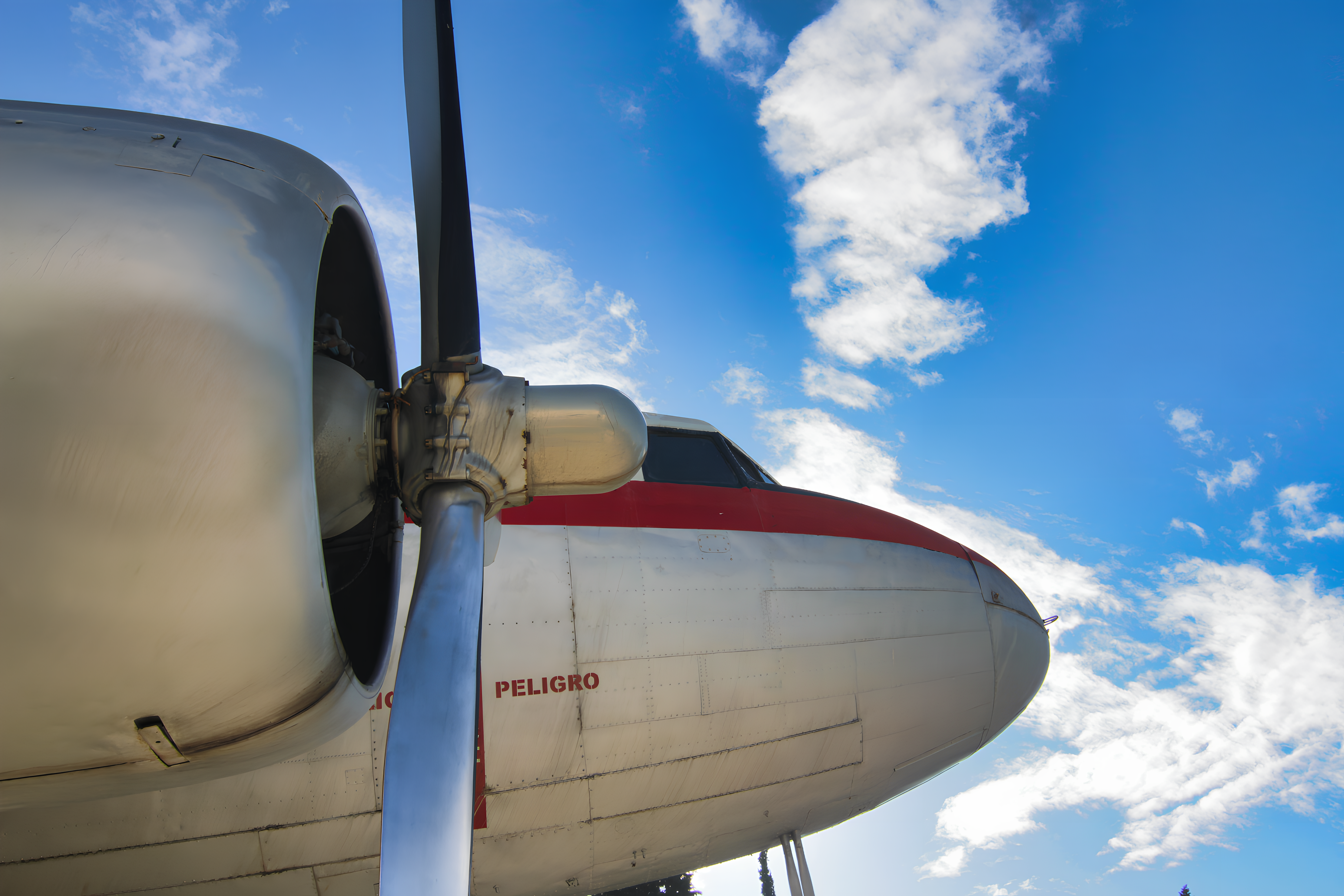 Photo by Marc Snailum with Canon EOS 7D