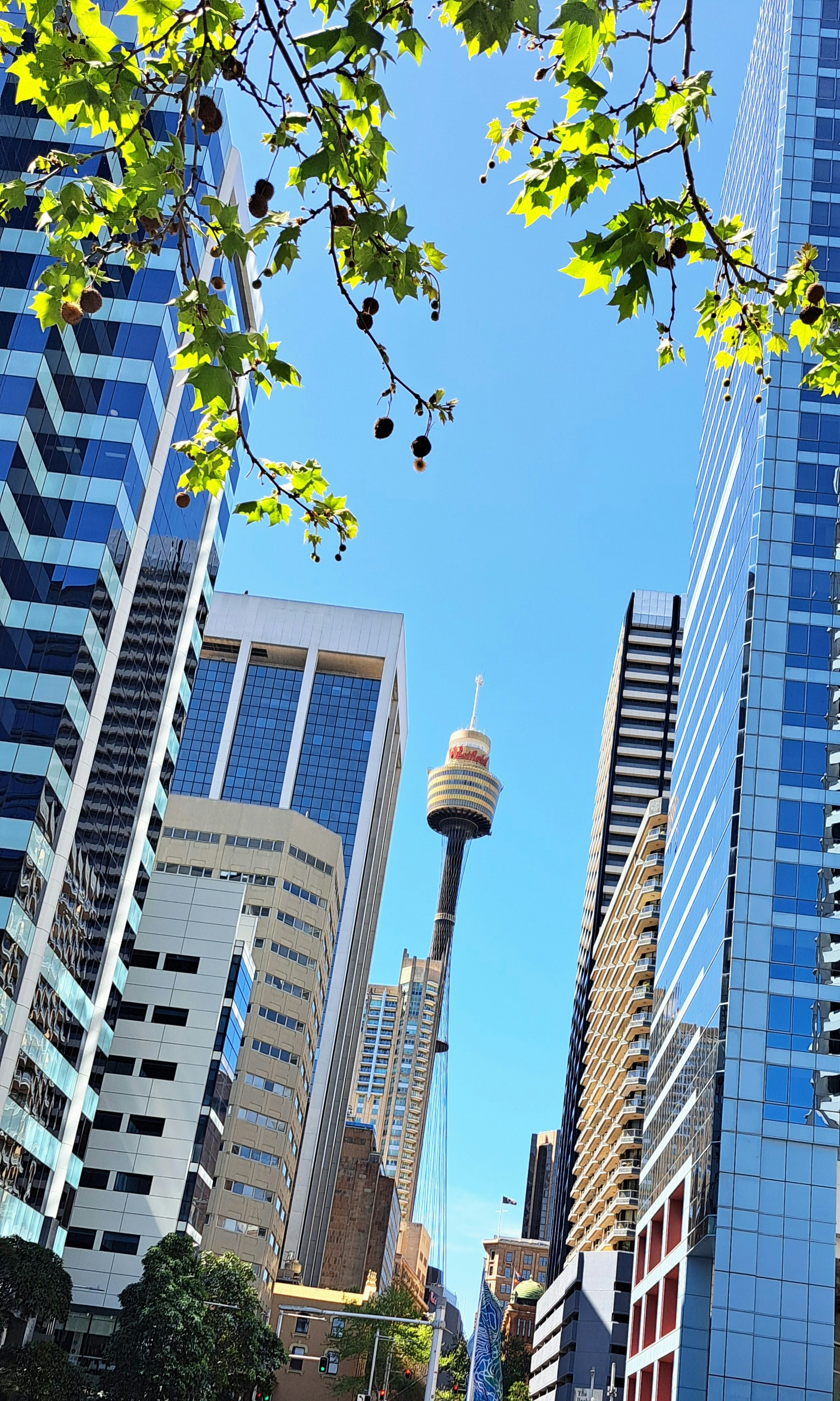 Photo by Anna Motivane with Samsung Galaxy A53