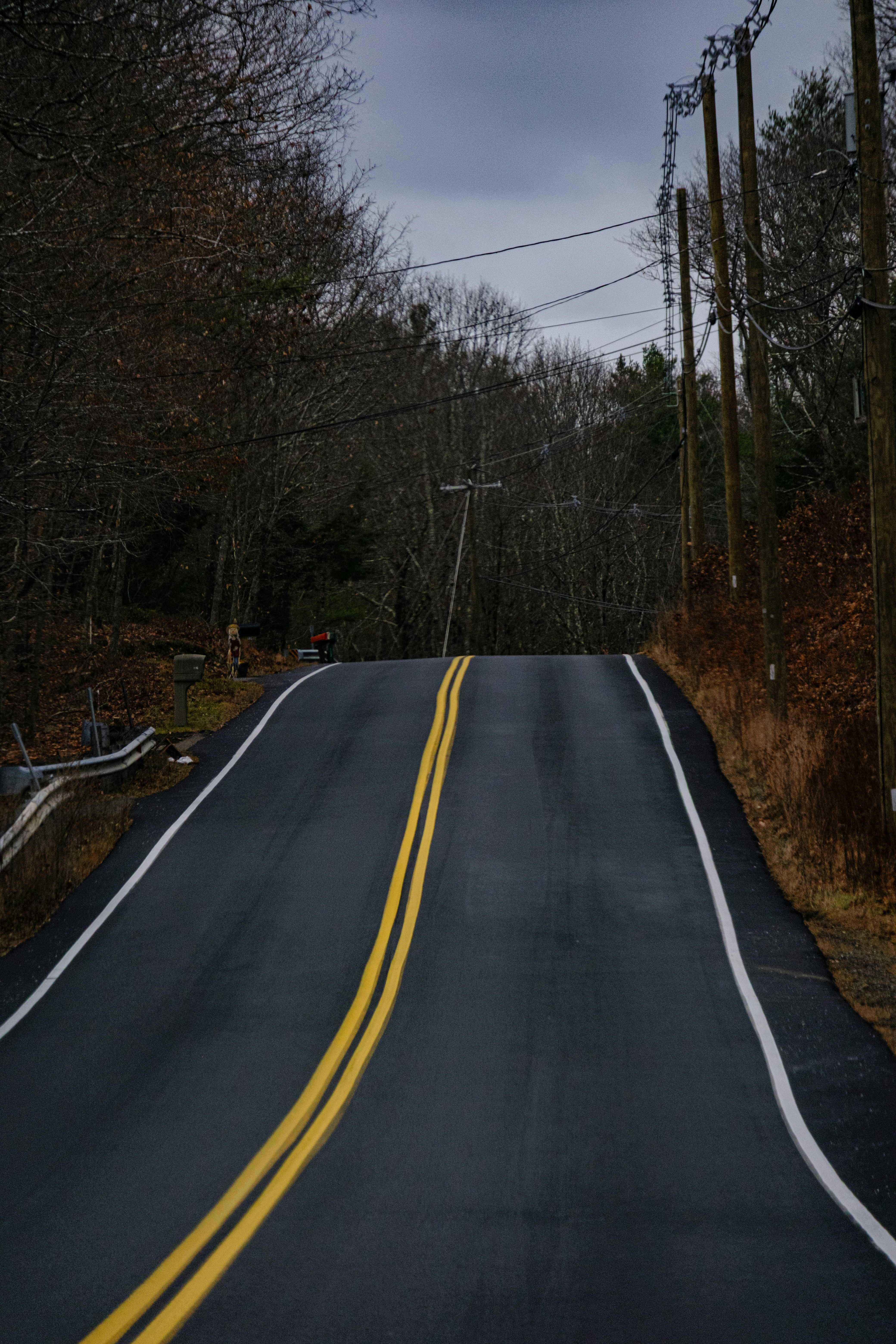 A Quiet Descent: A Rainy Rural Road Narrowing into the Pines