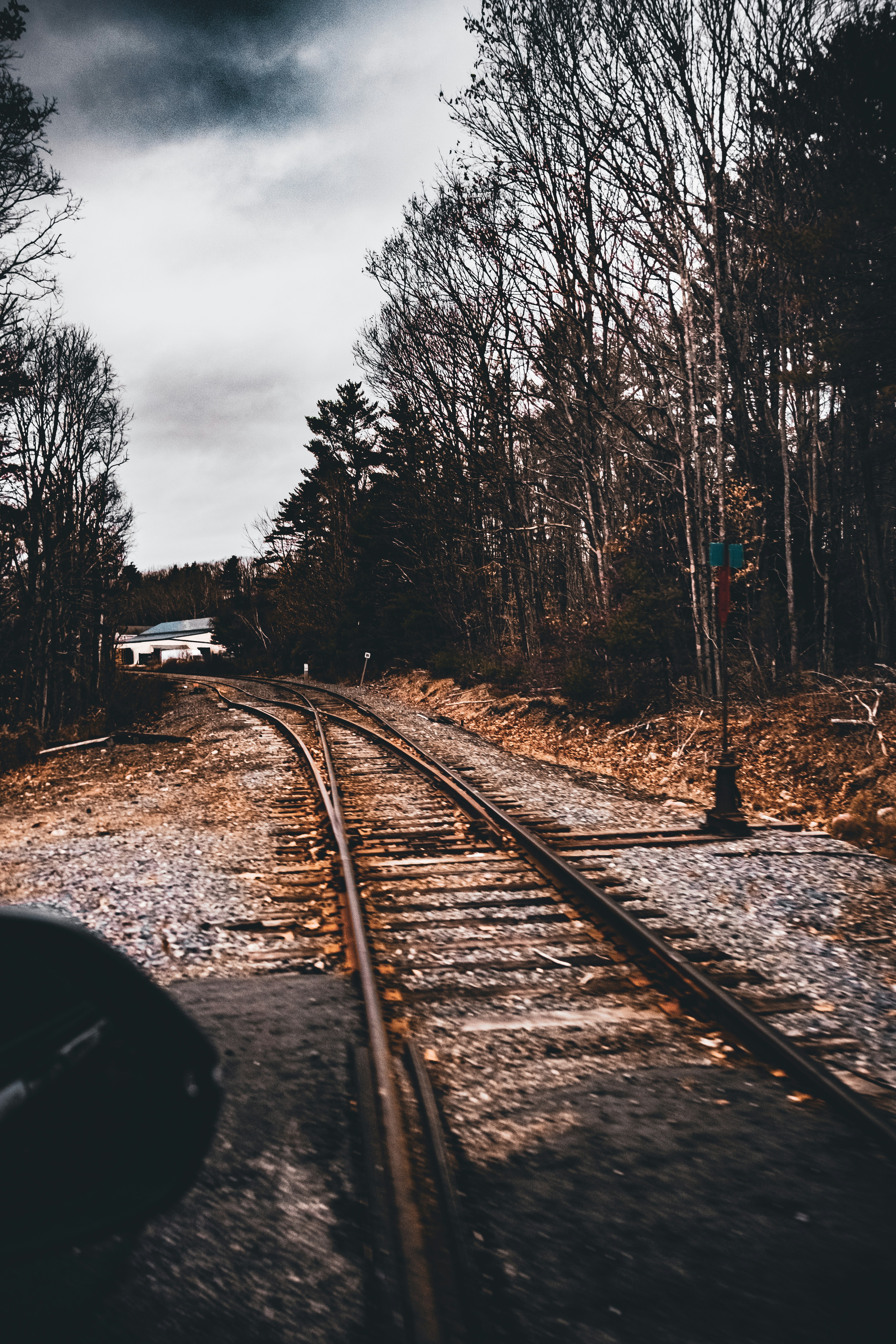 Rails into the Forest: A Quiet Track to the Horizon