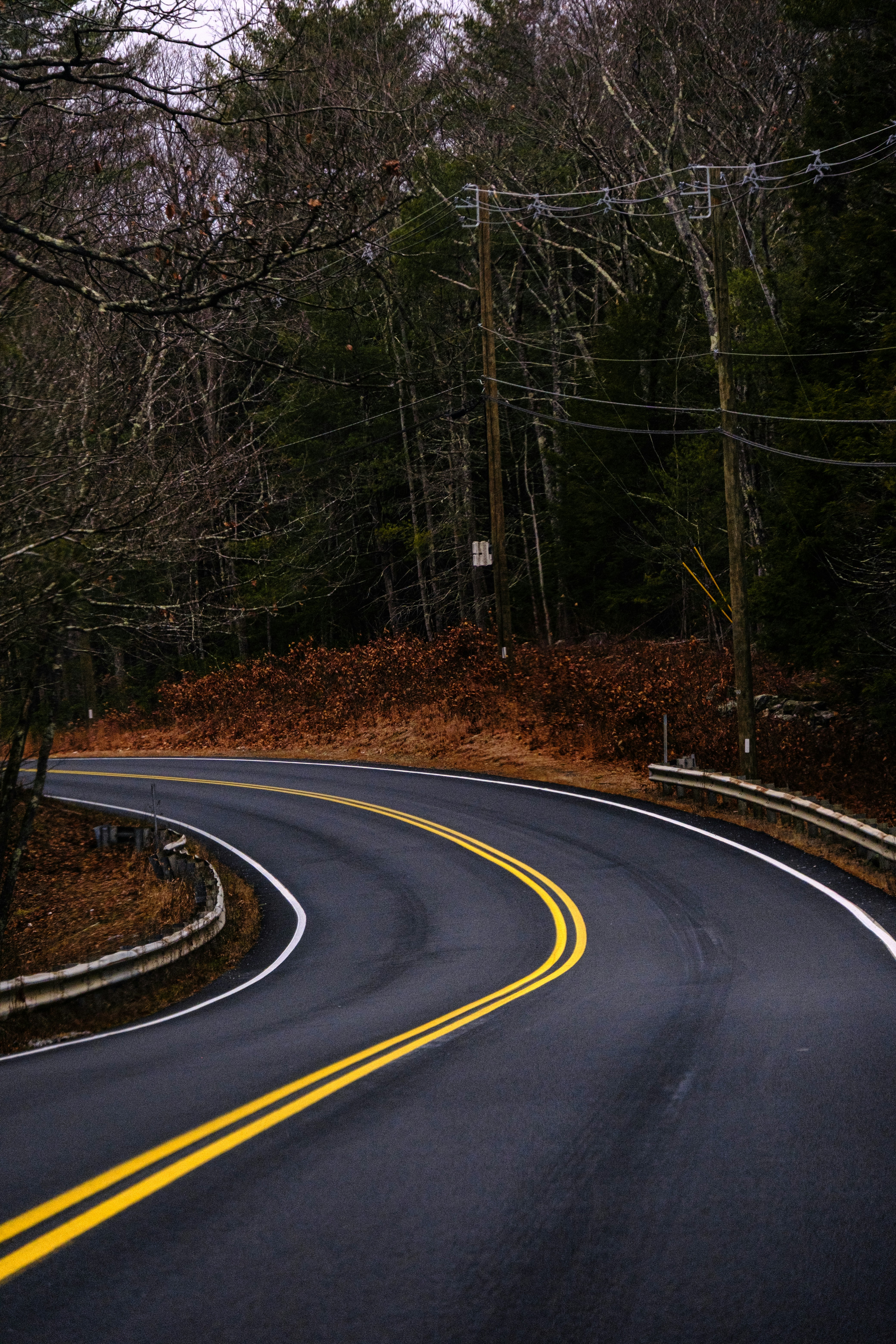 empty tree lined curvy road
