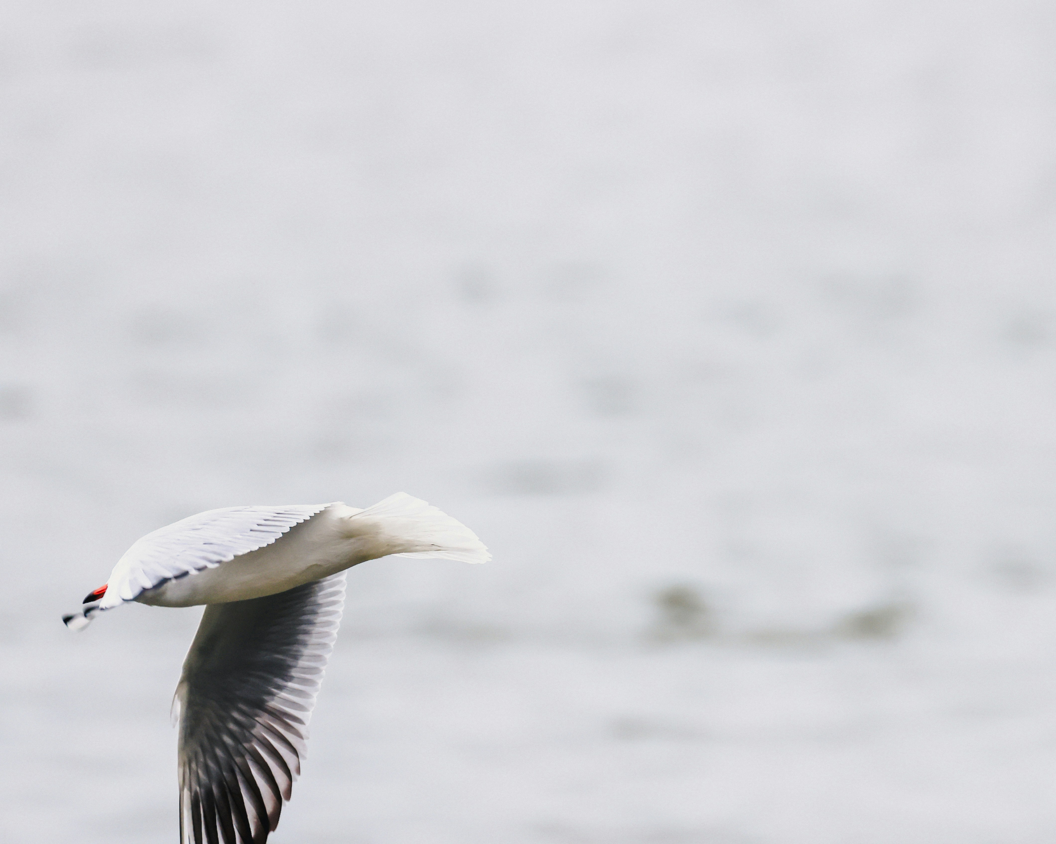 Photo by DL314 Lin with Canon EOS R5