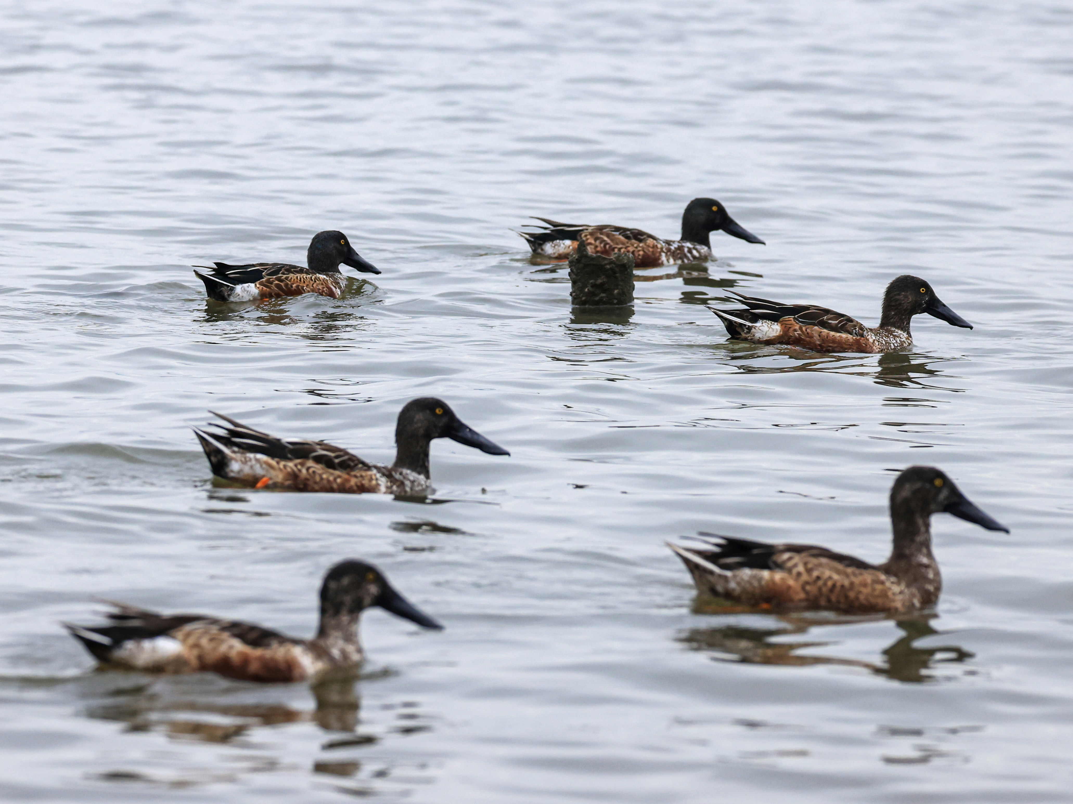 Photo by DL314 Lin with Canon EOS R5