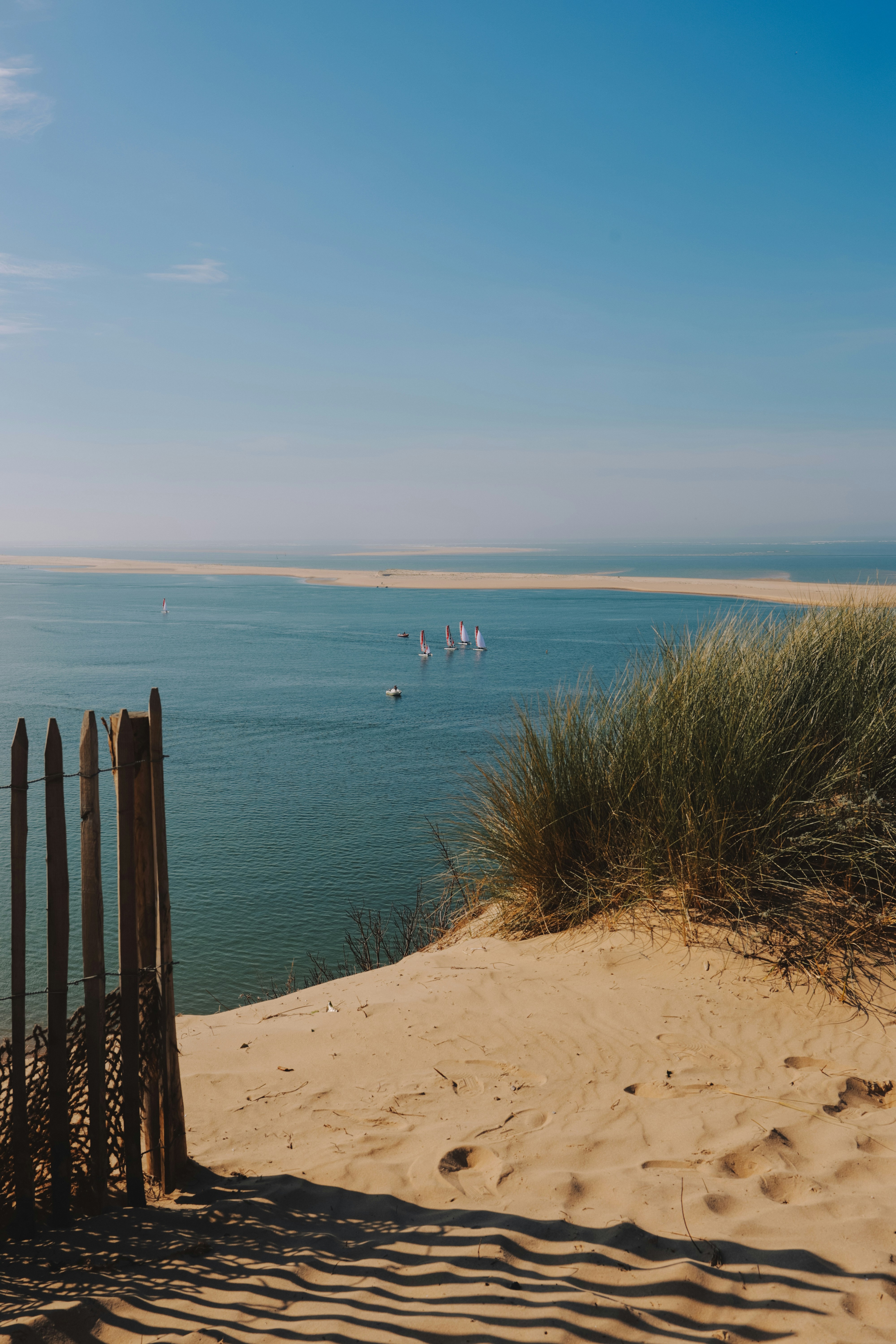 Dune Edge Overlooking a Quiet Bay