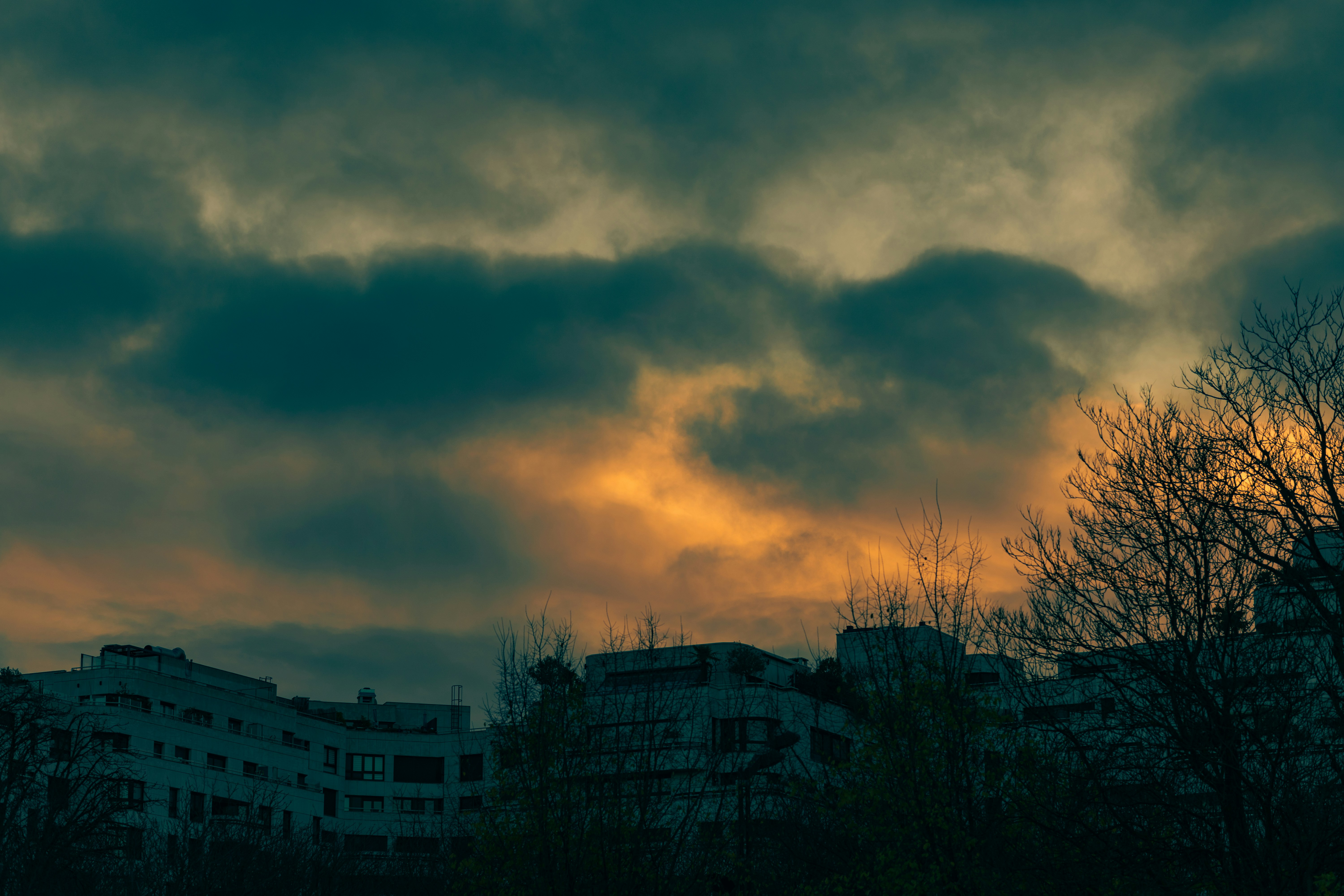 Photo by Alex Avila with Canon EOS R8