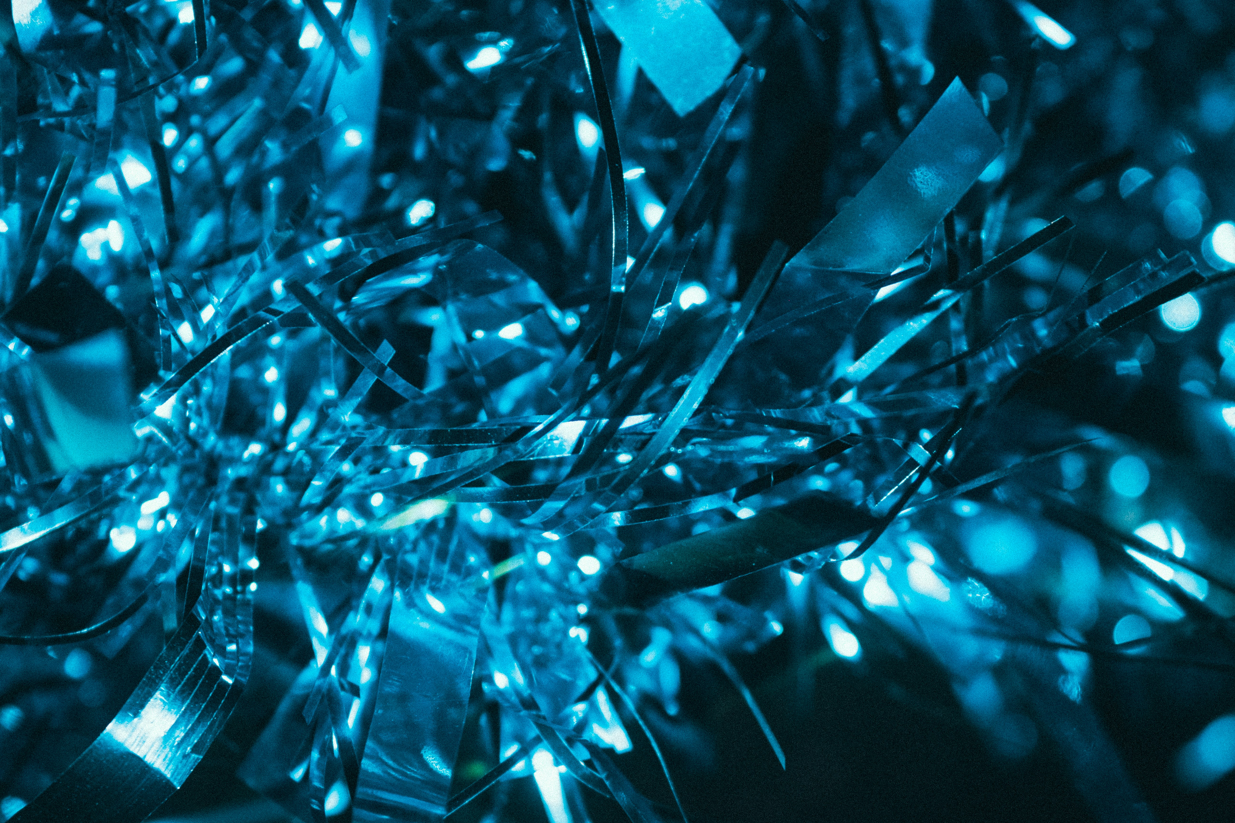 Photo by Victoria Alexander with Canon EOS 650D