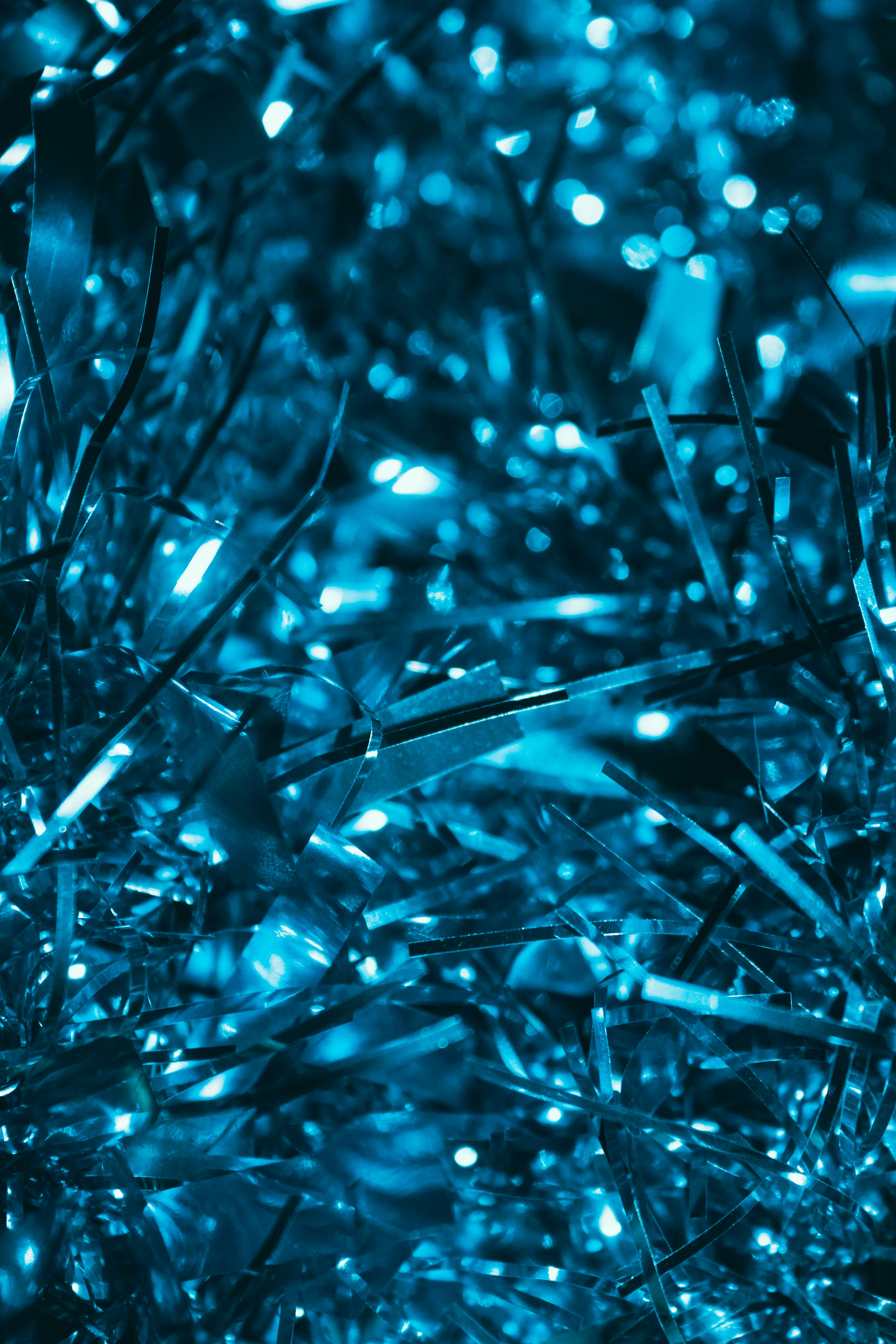 Blue-Tinted Tangle: Abstract Grass in Low Light