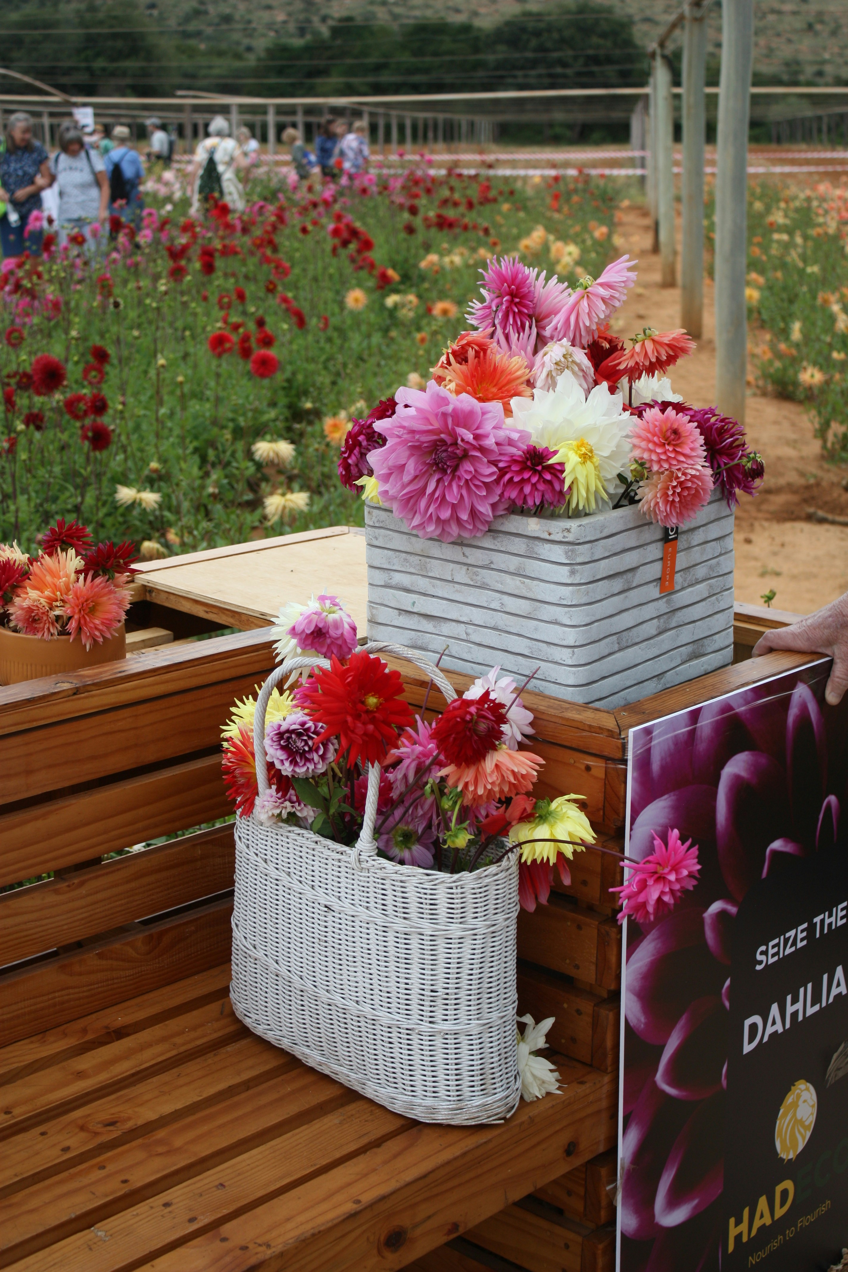Bouquet Box and Baskets at a Flower Farm Stall