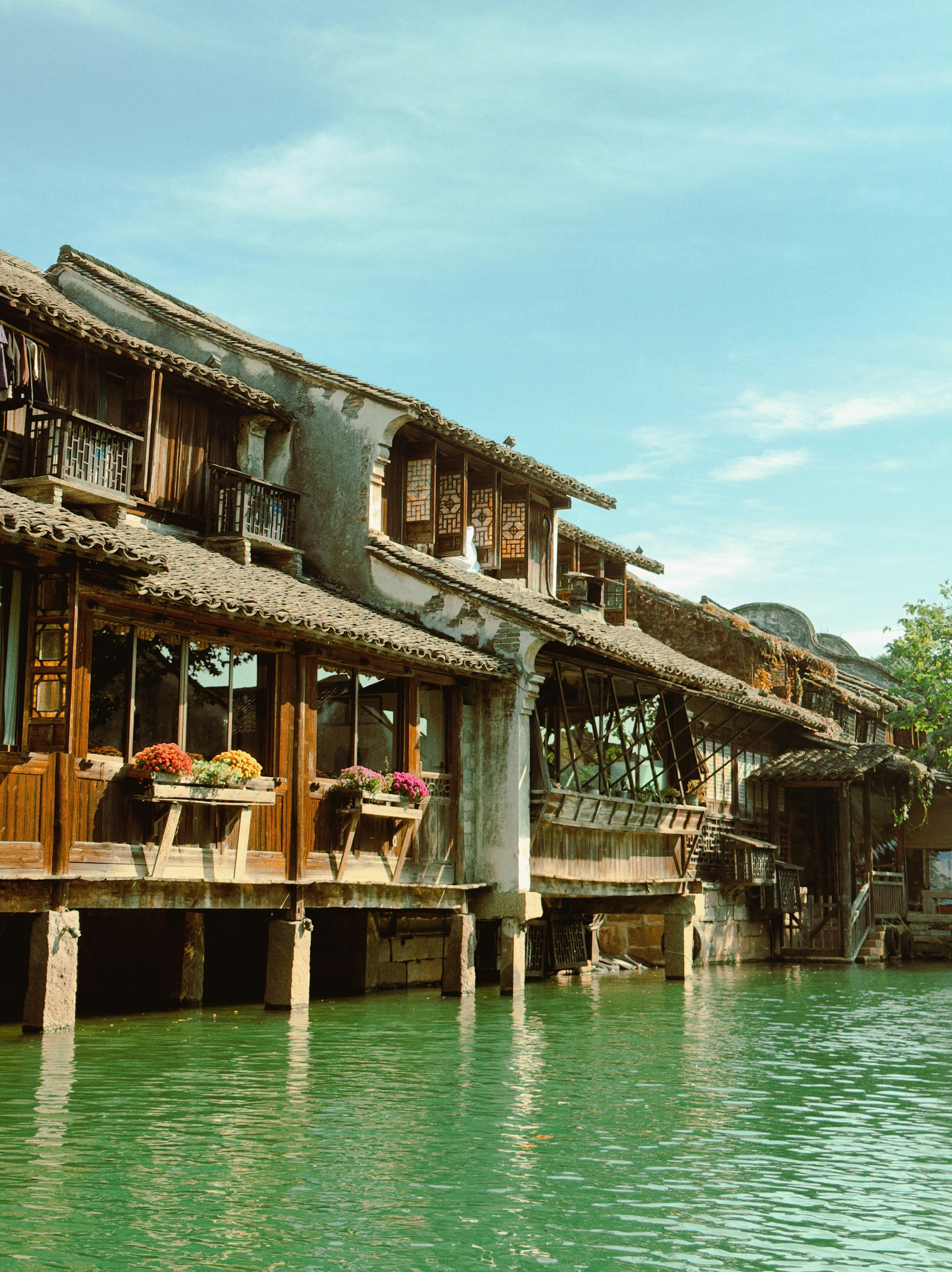 Waterfront Heritage: Teahouse Balconies Over Gentle Green Tides