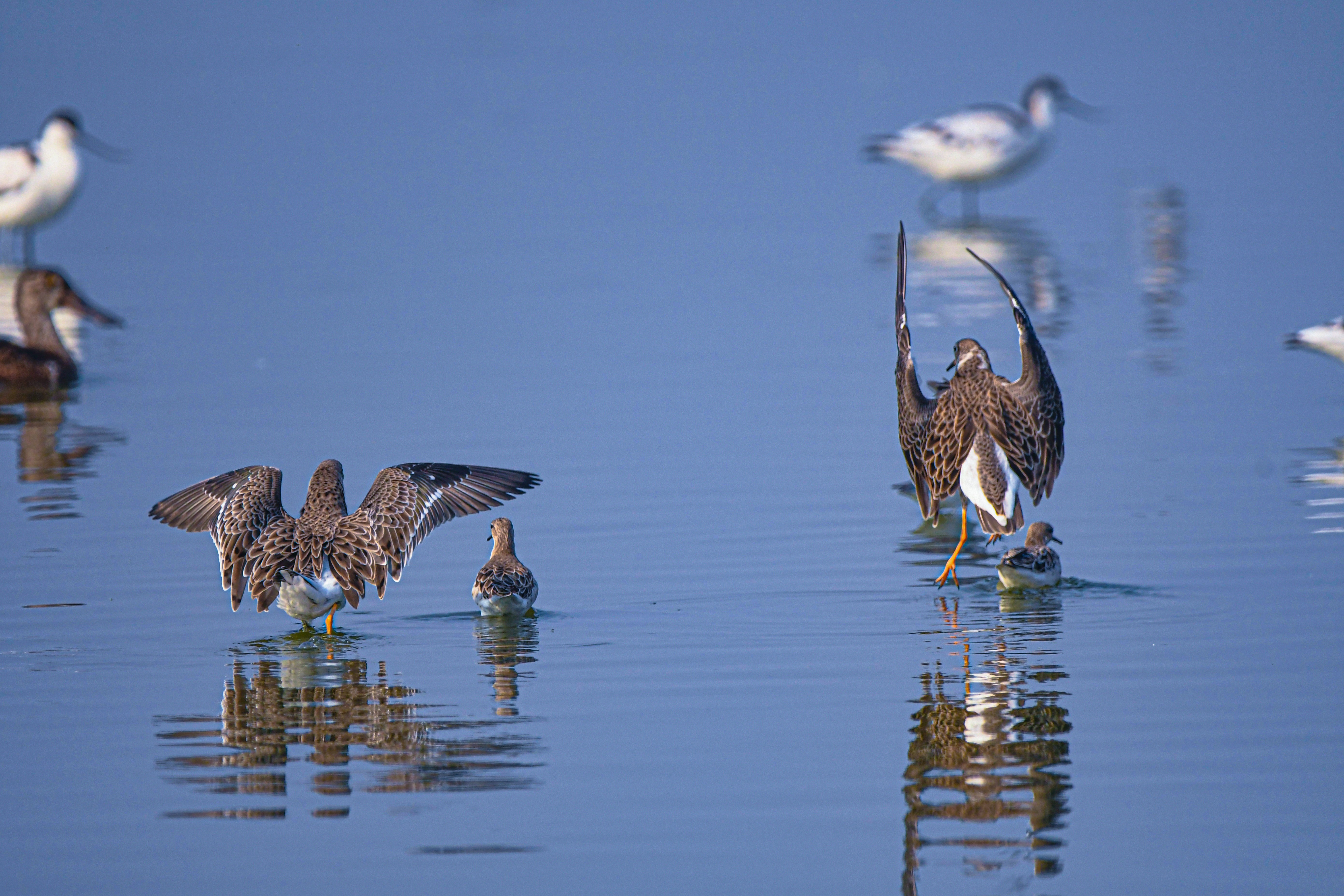 Photo by Amit Rai with Nikon D7500