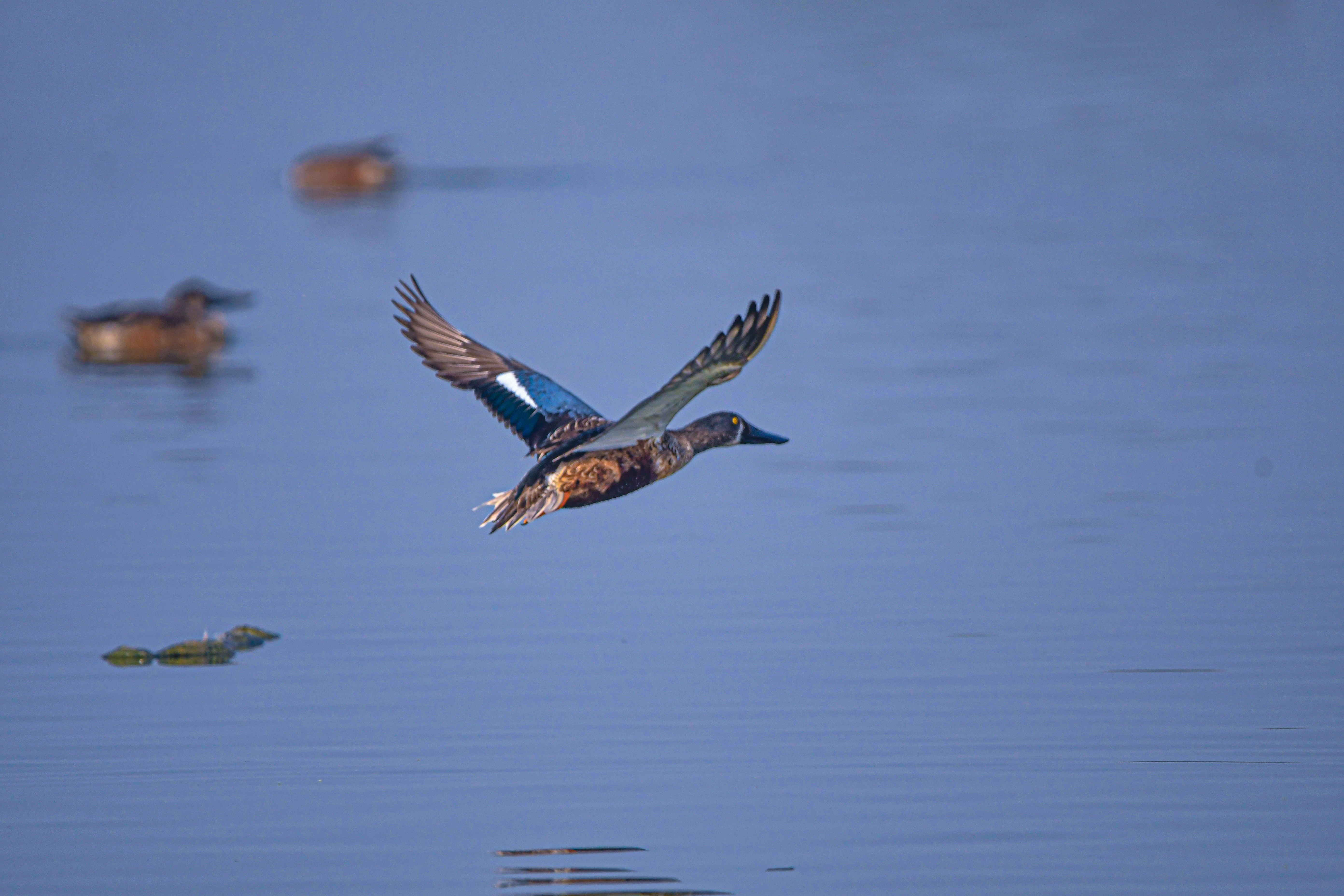 Photo by Amit Rai with Nikon D7500