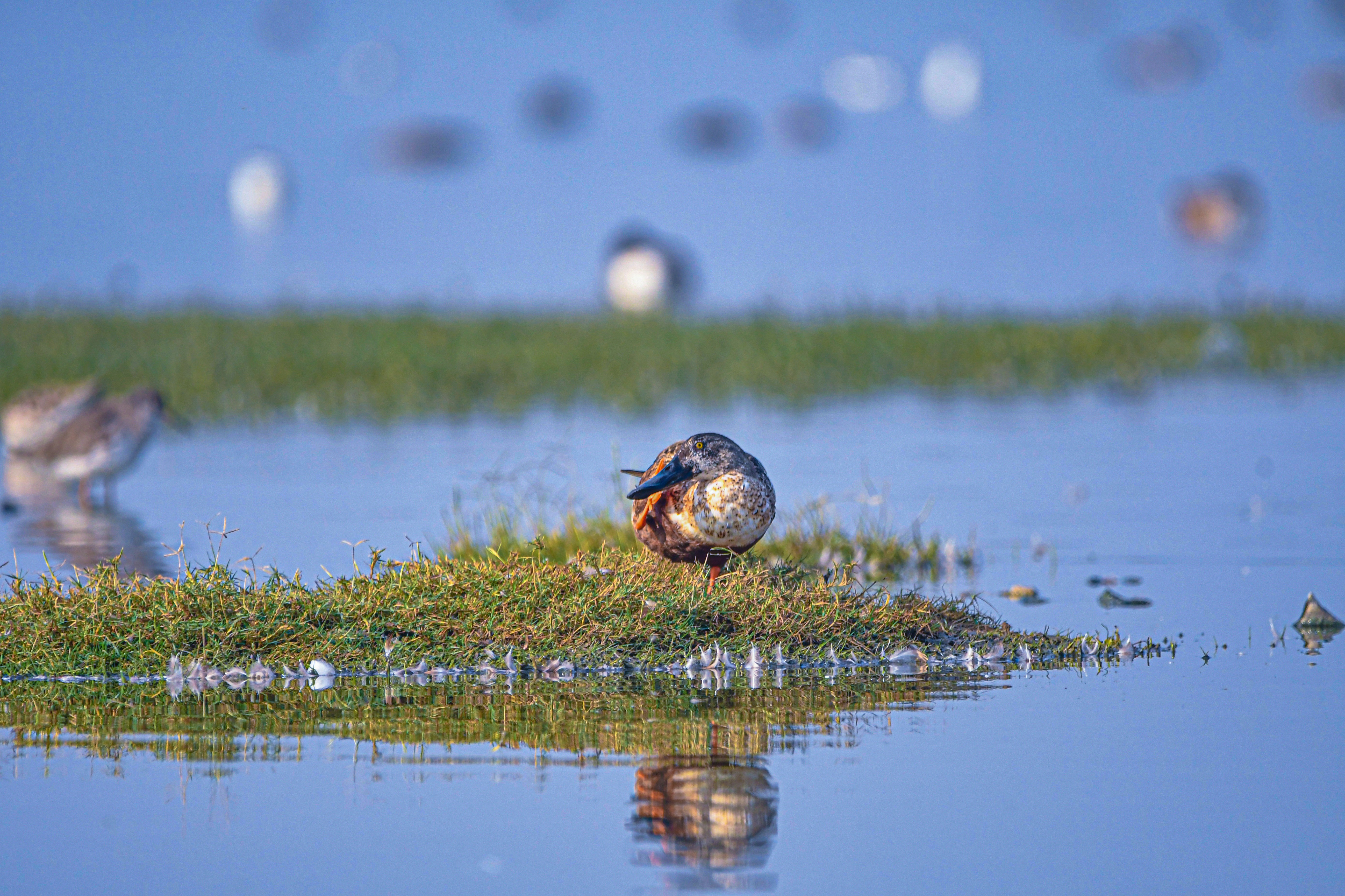 Photo by Amit Rai with Nikon D7500