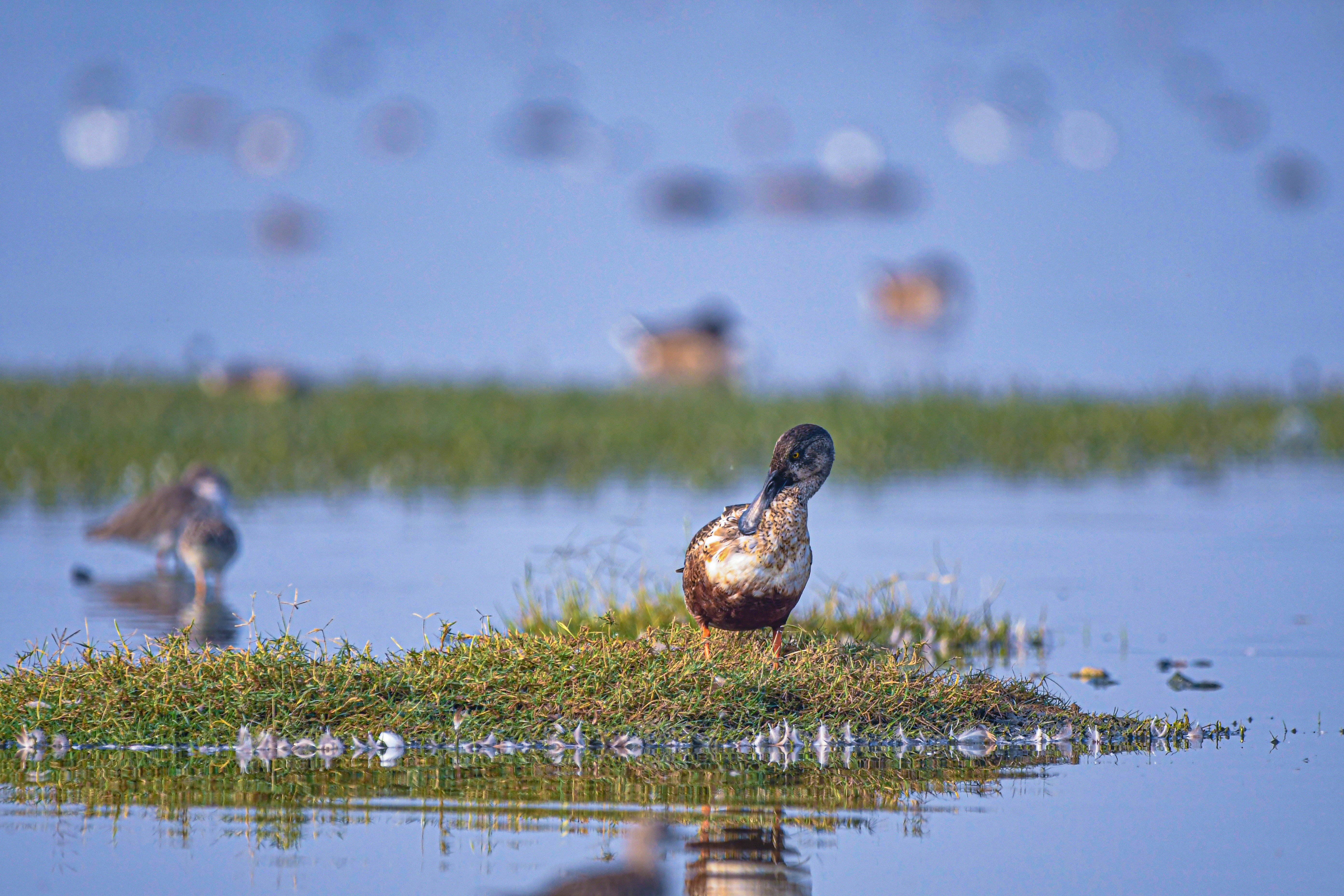 Photo by Amit Rai with Nikon D7500