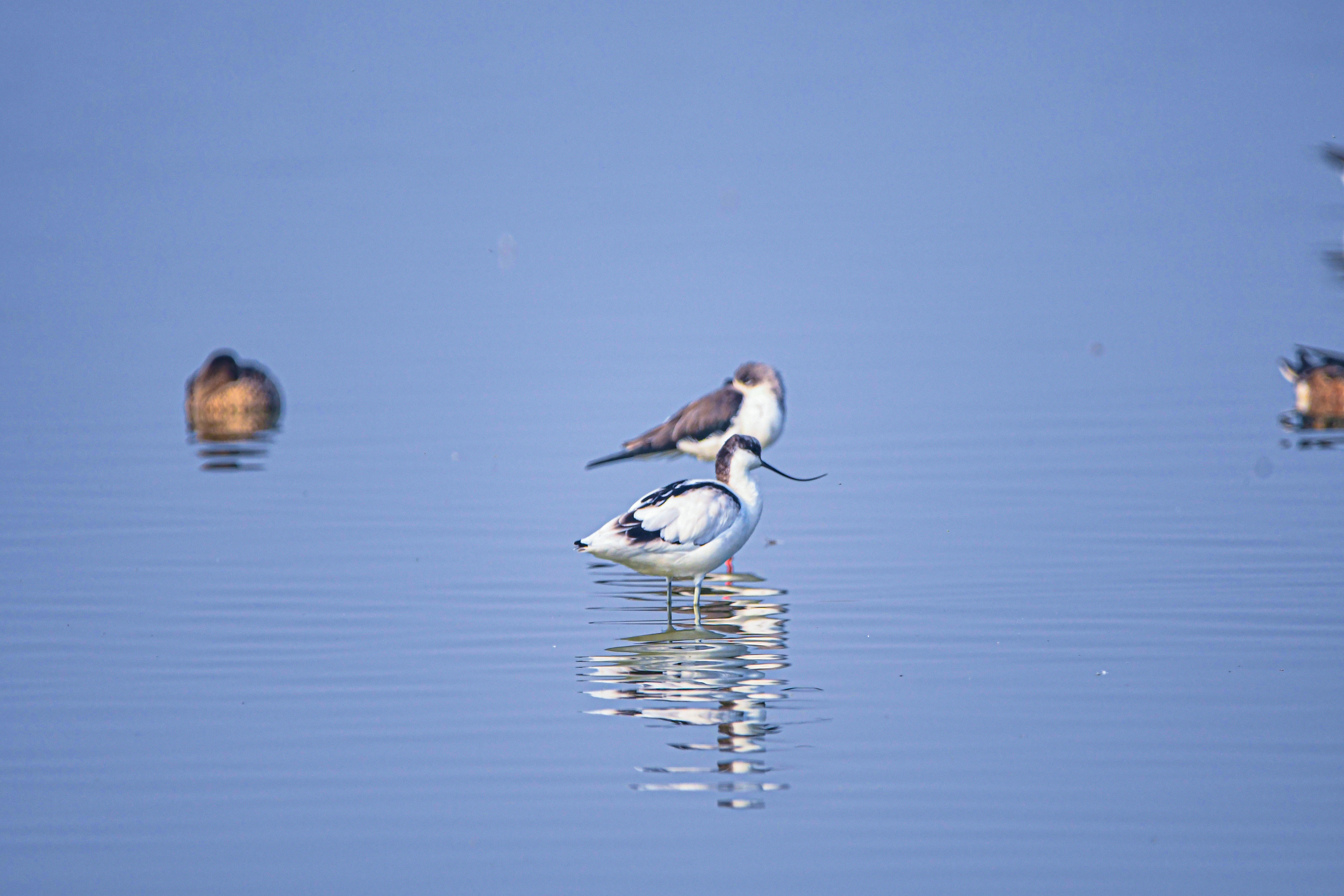 Photo by Amit Rai with Nikon D7500