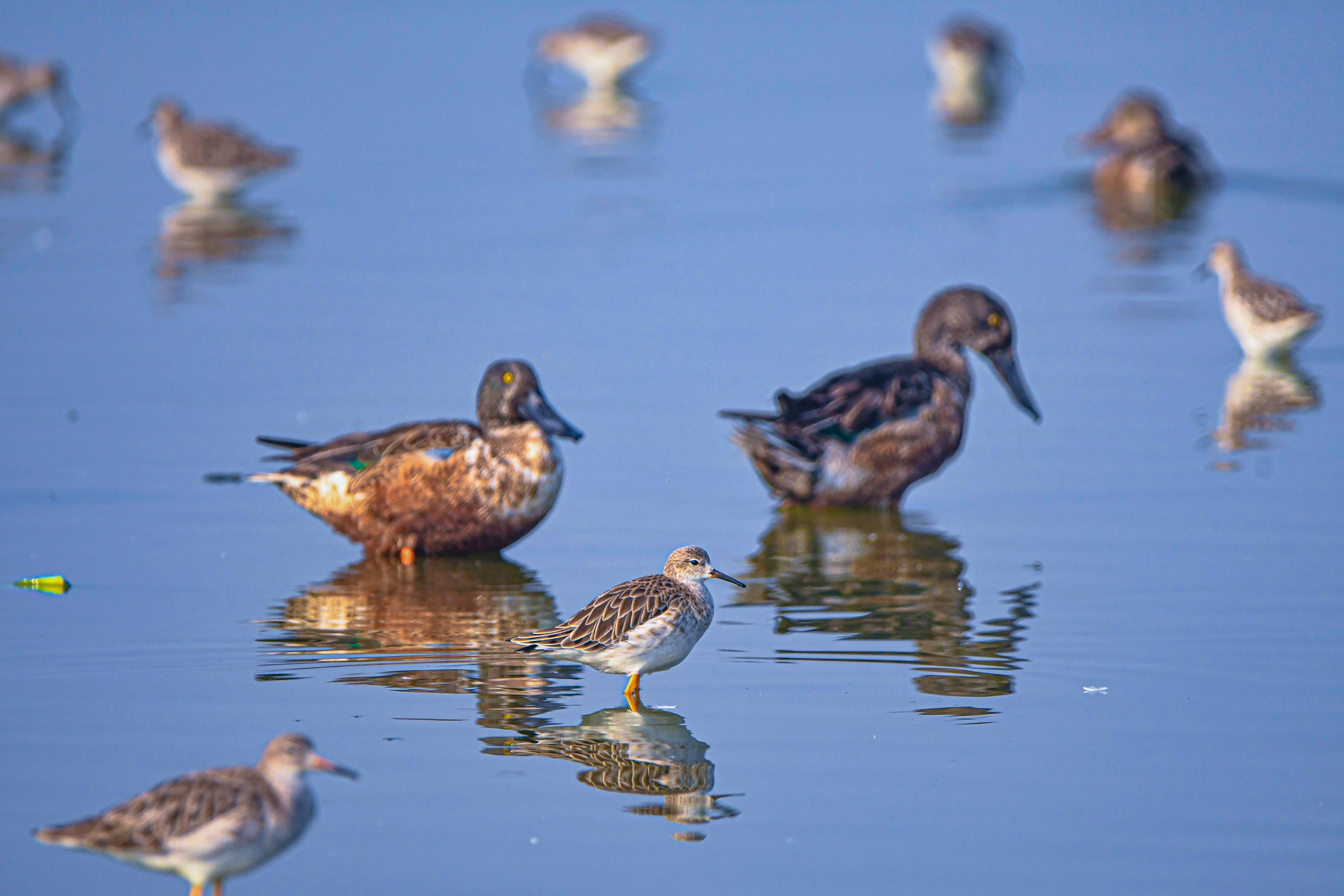 Photo by Amit Rai with Nikon D7500