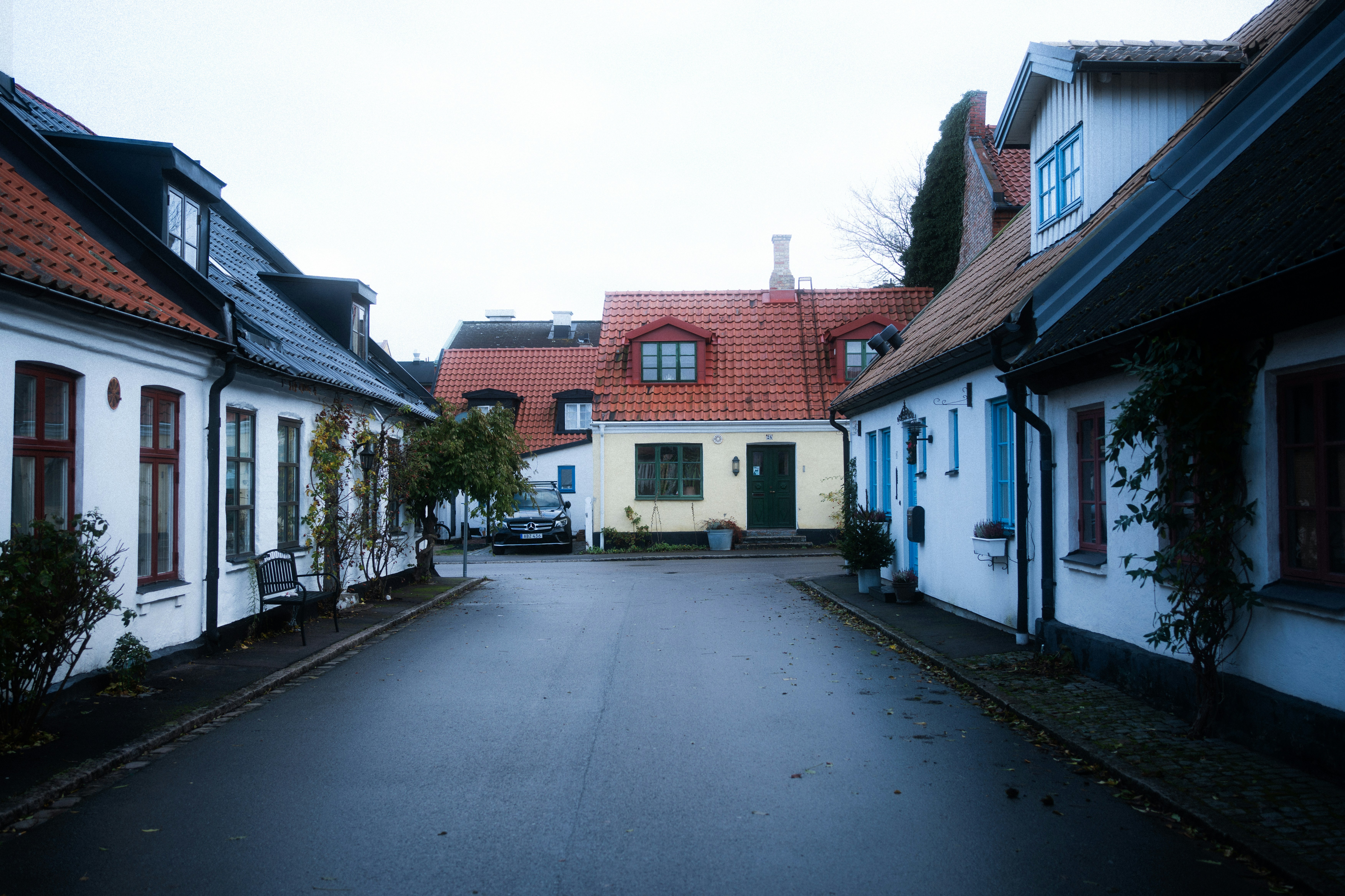 Photo by Åsa Pålsson with Sony Alpha 7 IV