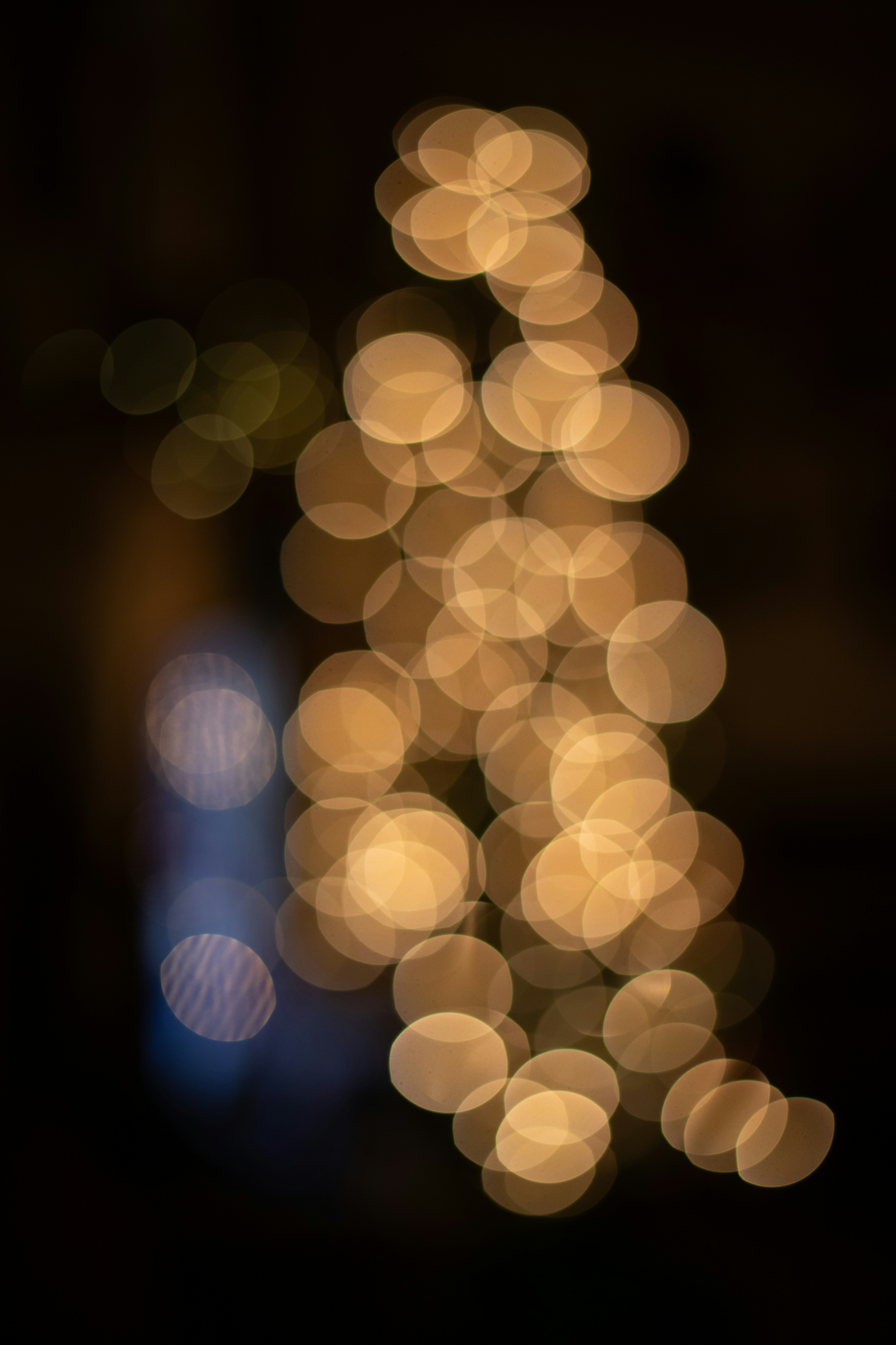 Photo by Sixteen Miles Out with Canon EOS 5D Mark IV