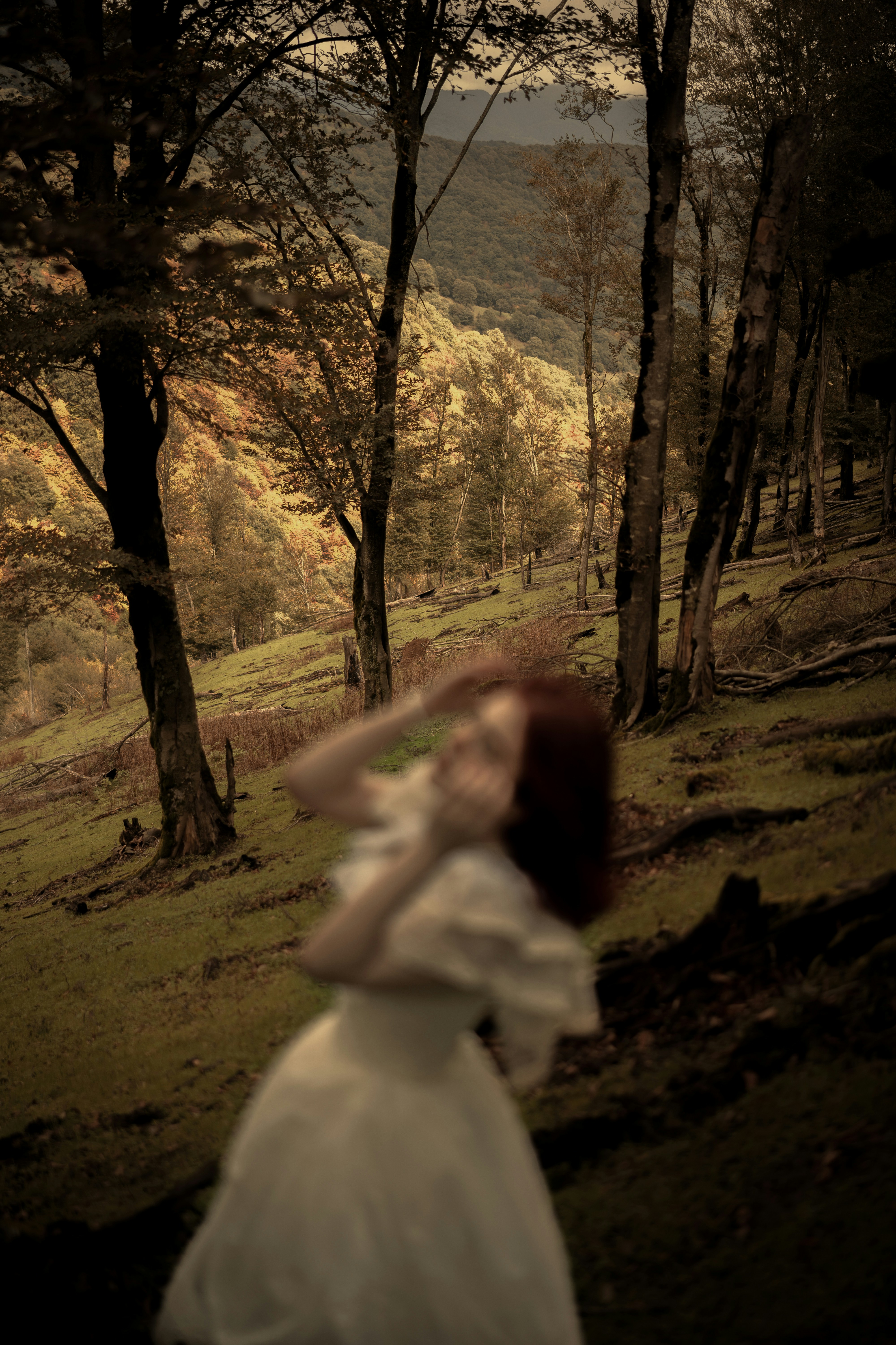 Whispers of Autumn: A Blurred Portrait in the Dappled Clearing