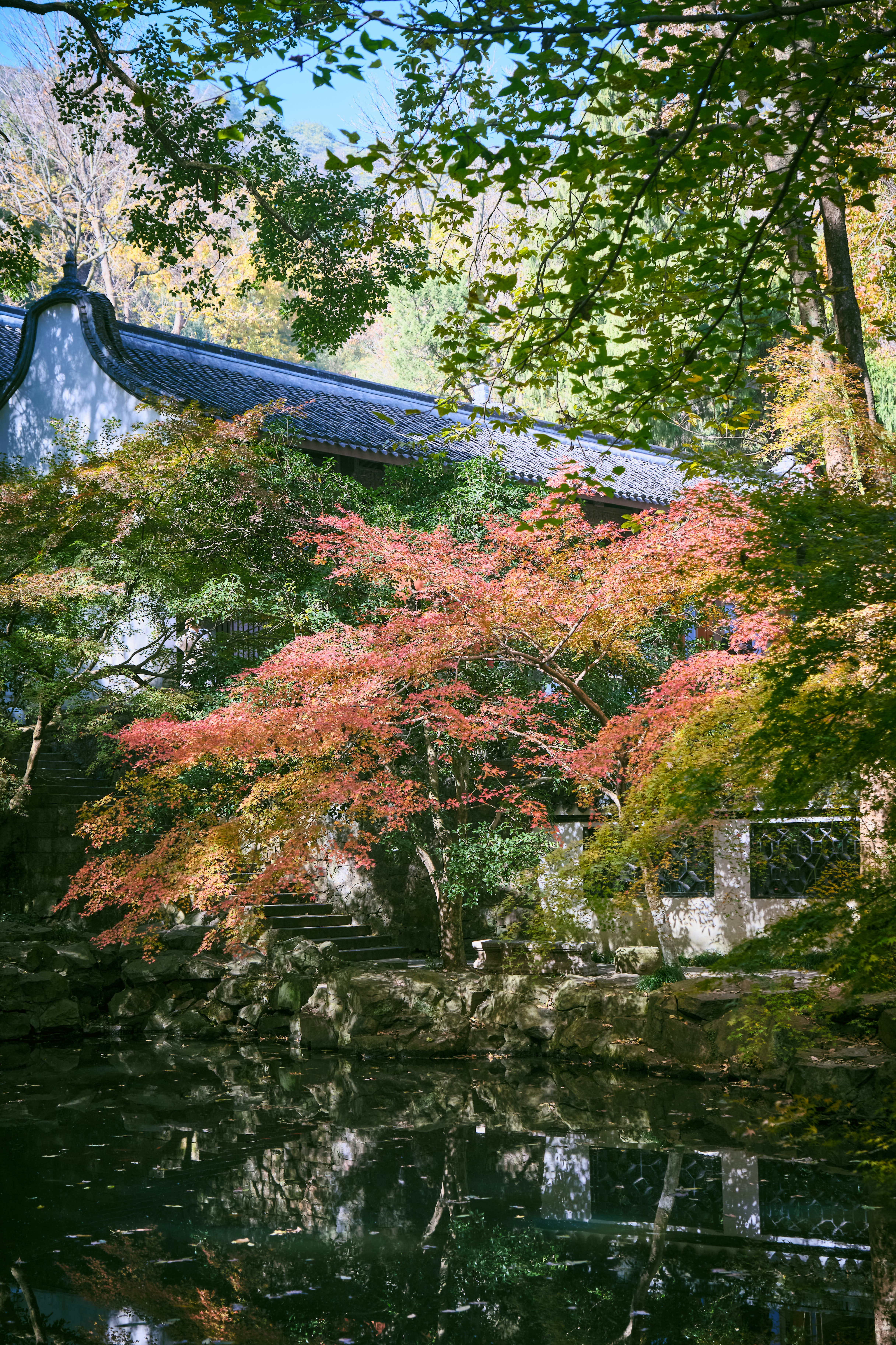 Autumn Quiet at the Garden Wall
