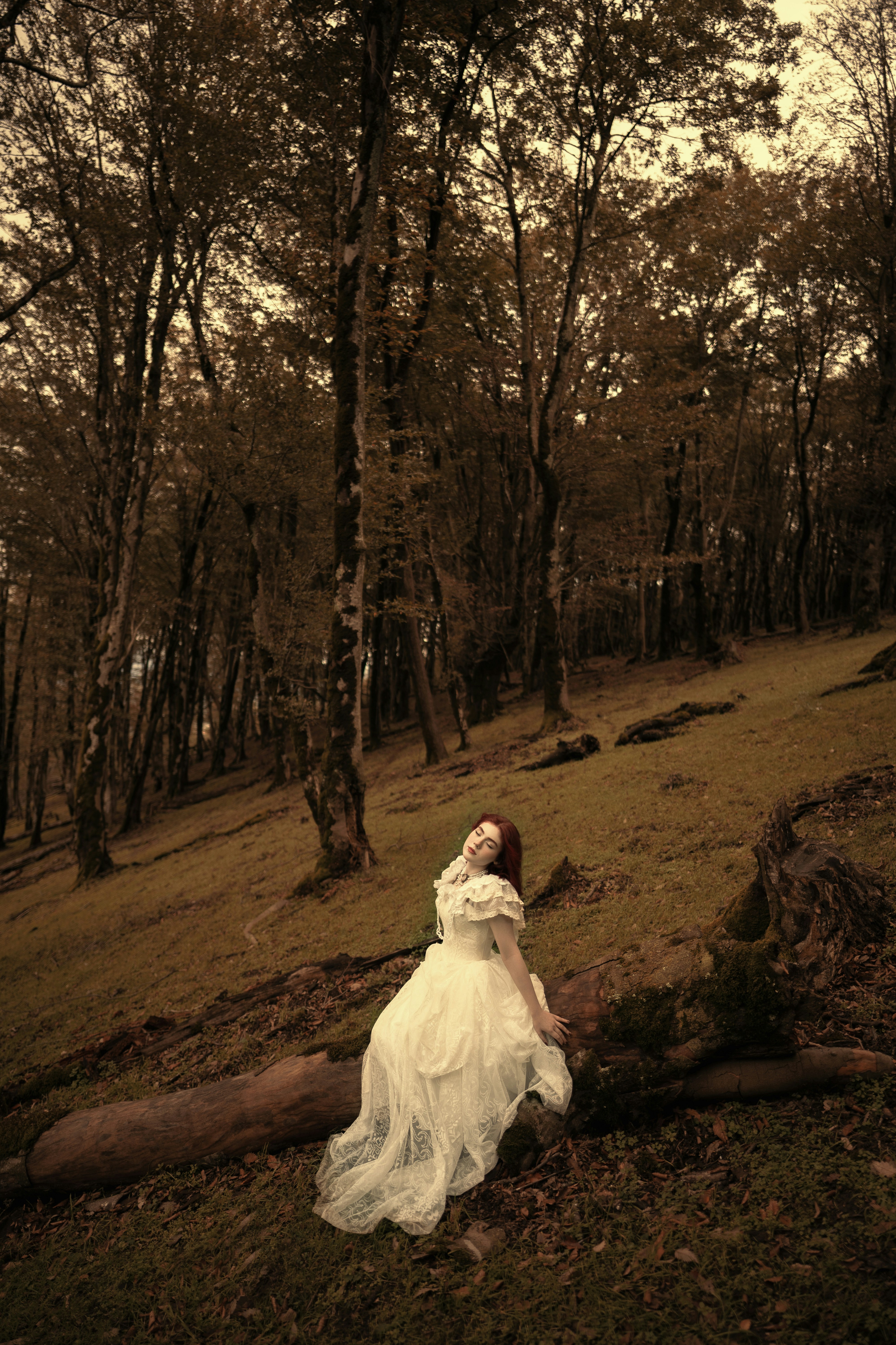 Photo by Ali Karimiboroujeni with Sony Alpha 7 III