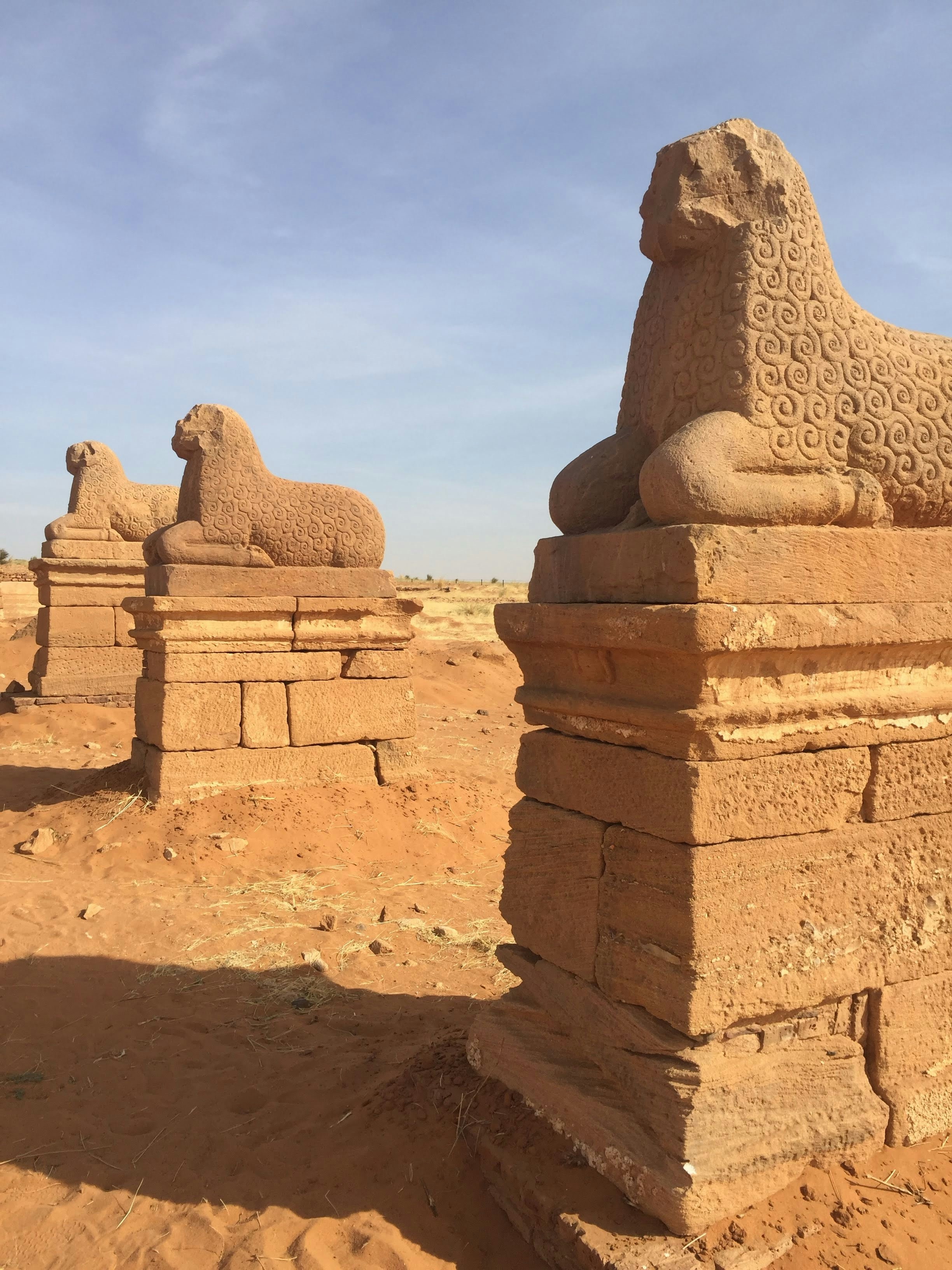 Photo by Frehiwot Teklemedhin with Apple iPhone 6