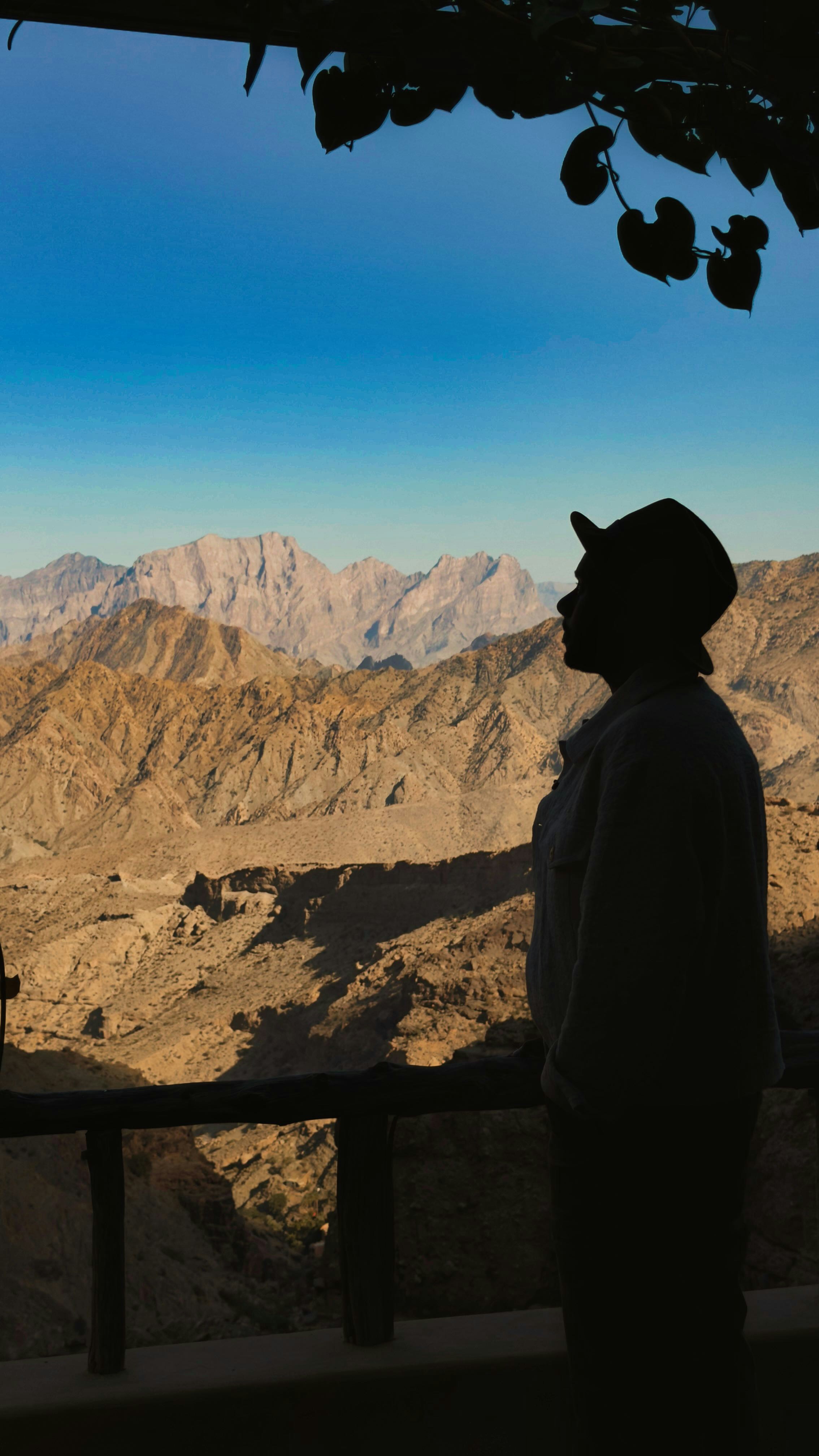 Shadowed silhouette against sunlit canyon panorama