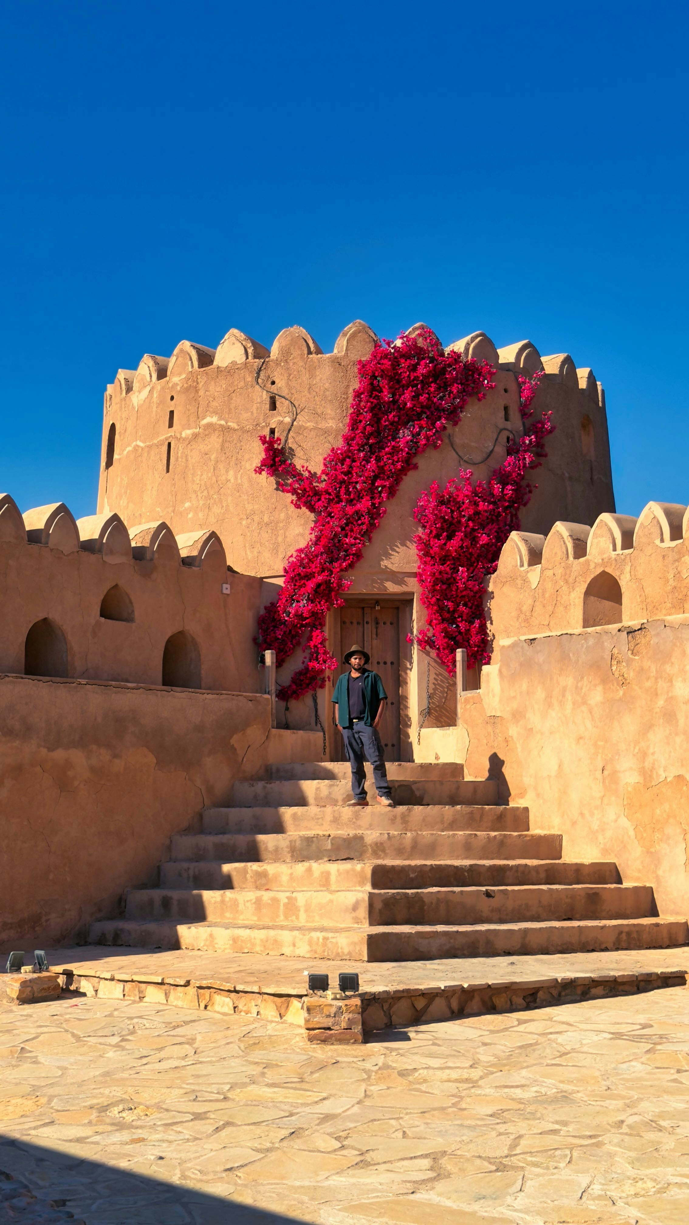 Bougainvillea Guardian of the Fortress