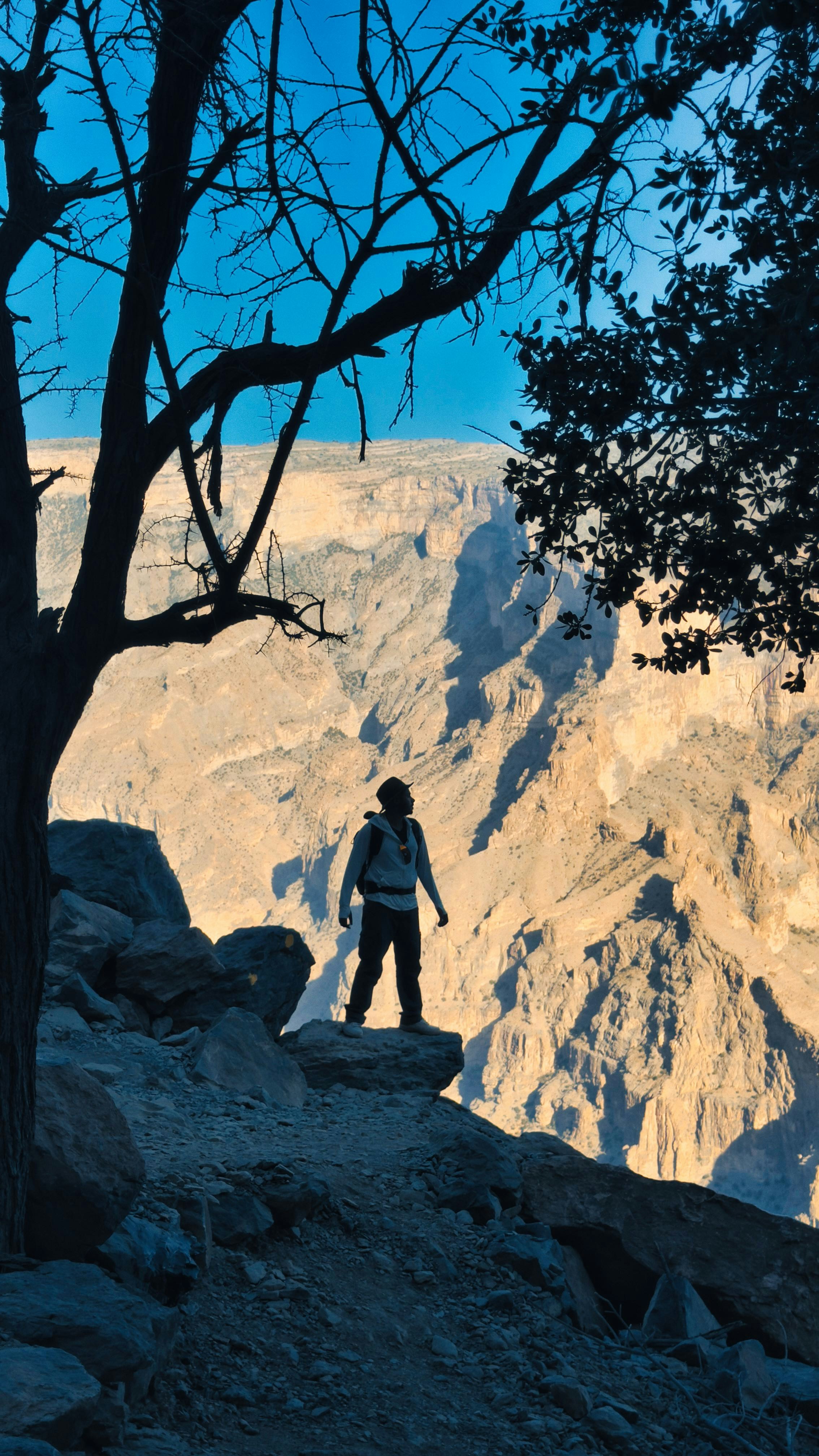 Edgewalker at the Rim: silhouette against a canyon bloom