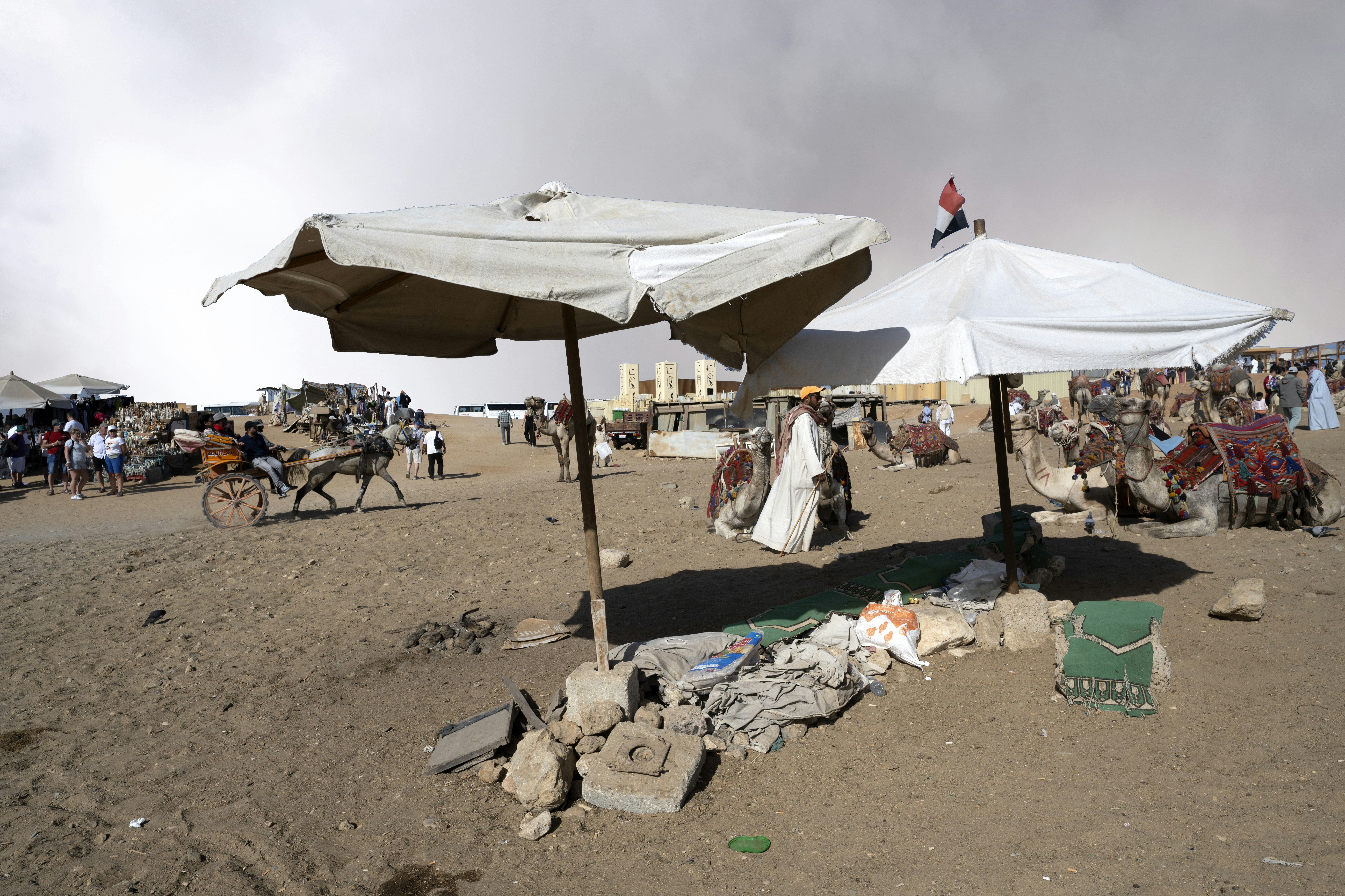 Photo by Dave Meckler with Nikon Z7 II