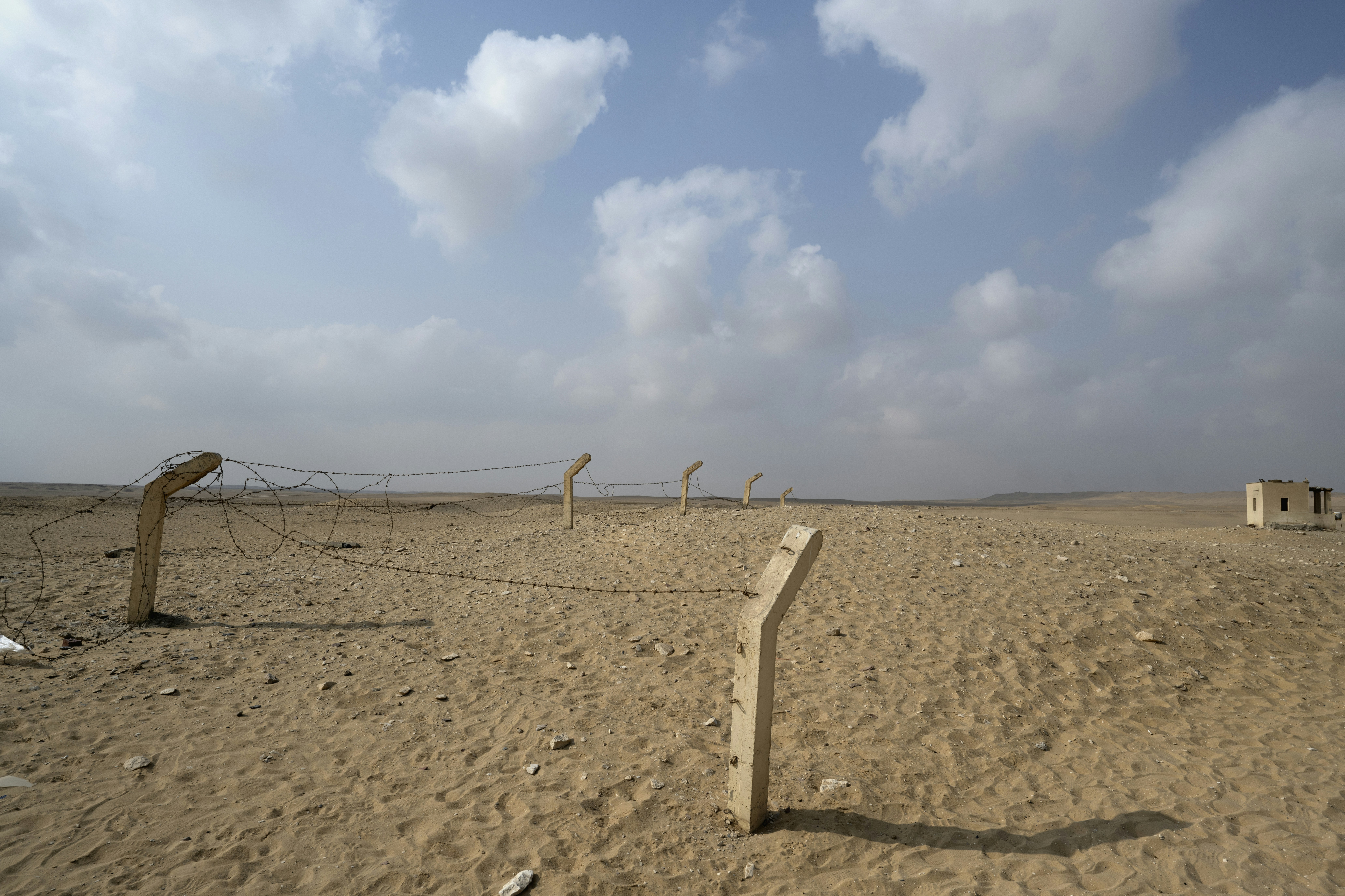 Photo by Dave Meckler with Nikon Z7 II