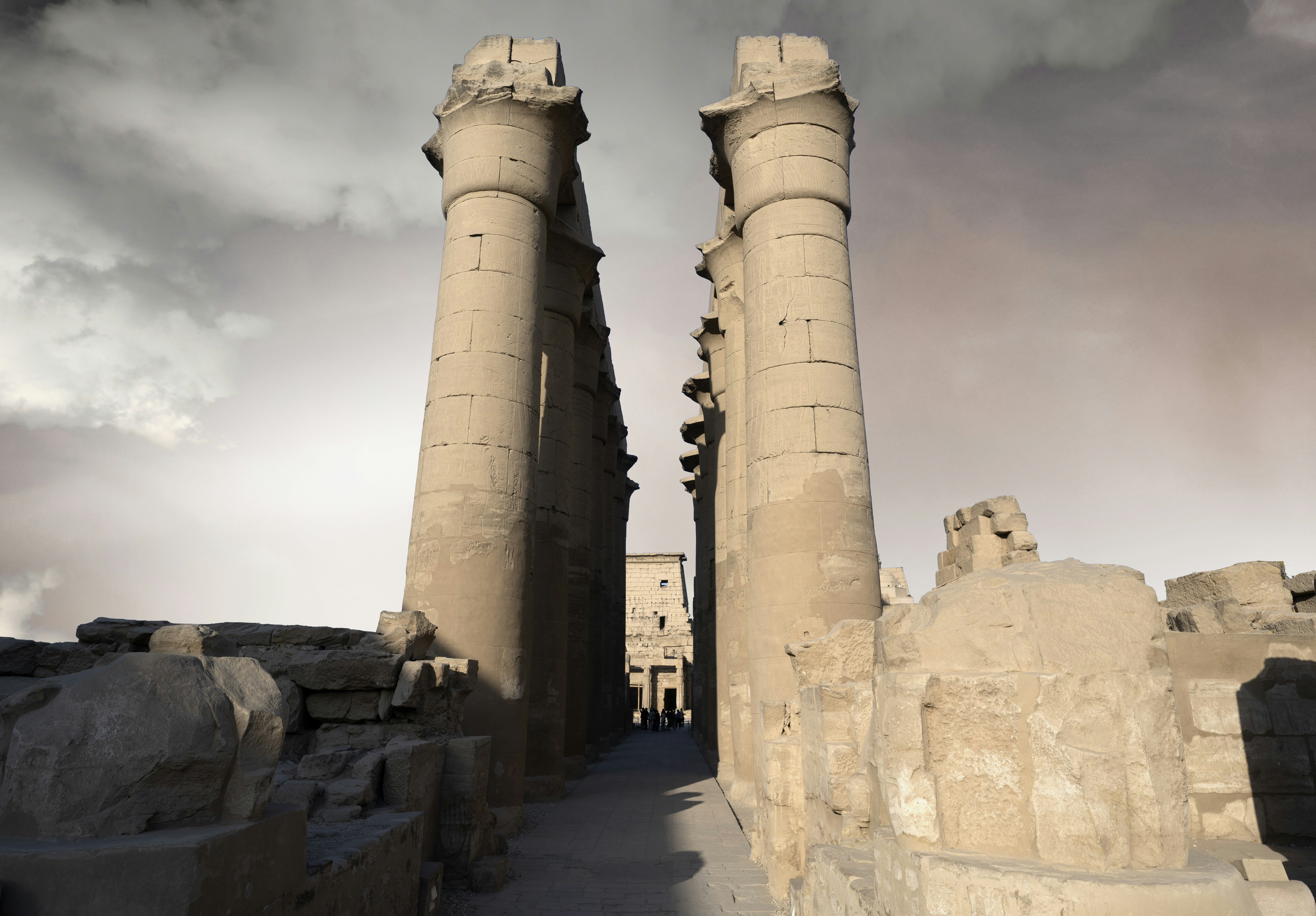 Photo by Dave Meckler with Nikon Z7 II