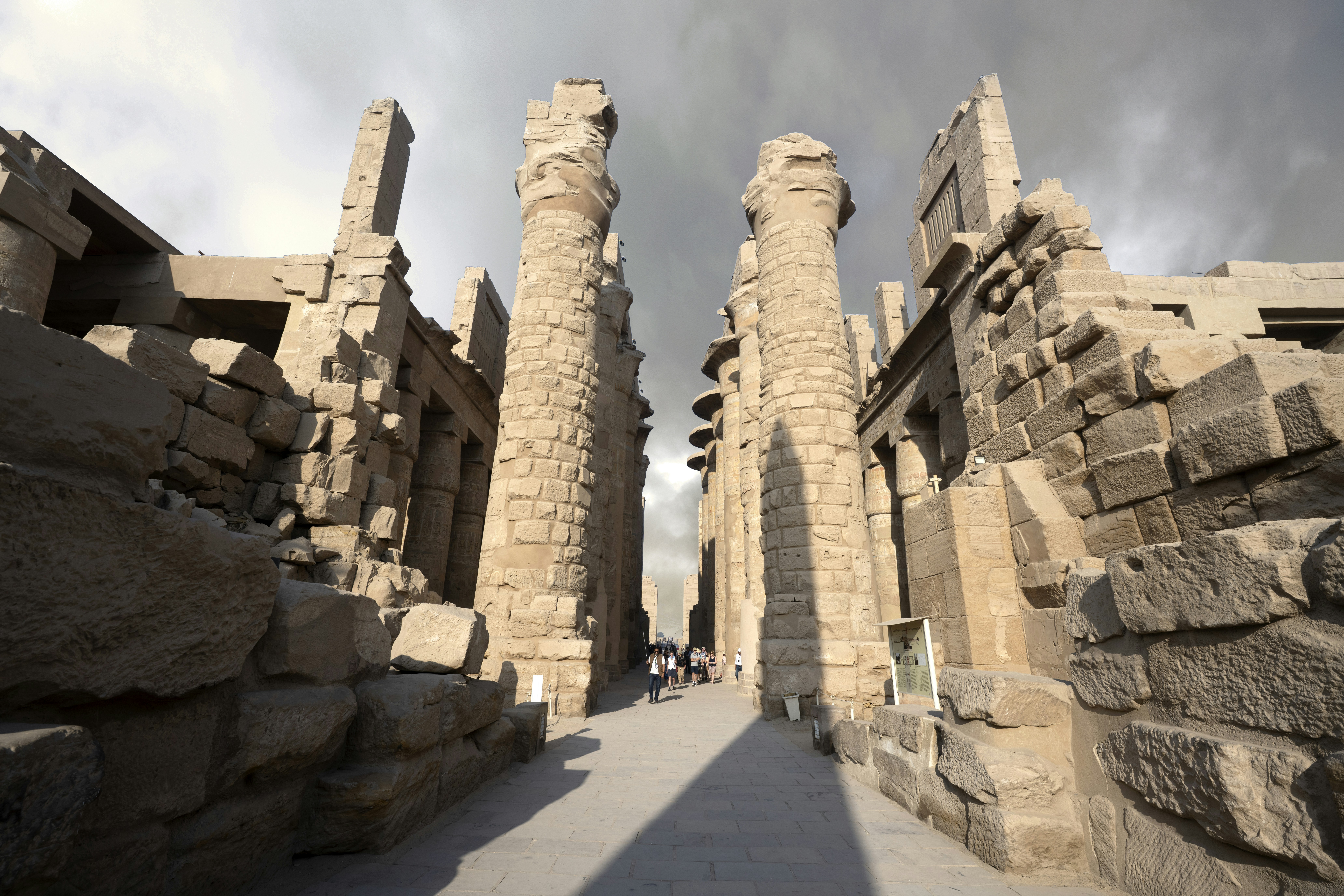 Photo by Dave Meckler with Nikon Z7 II