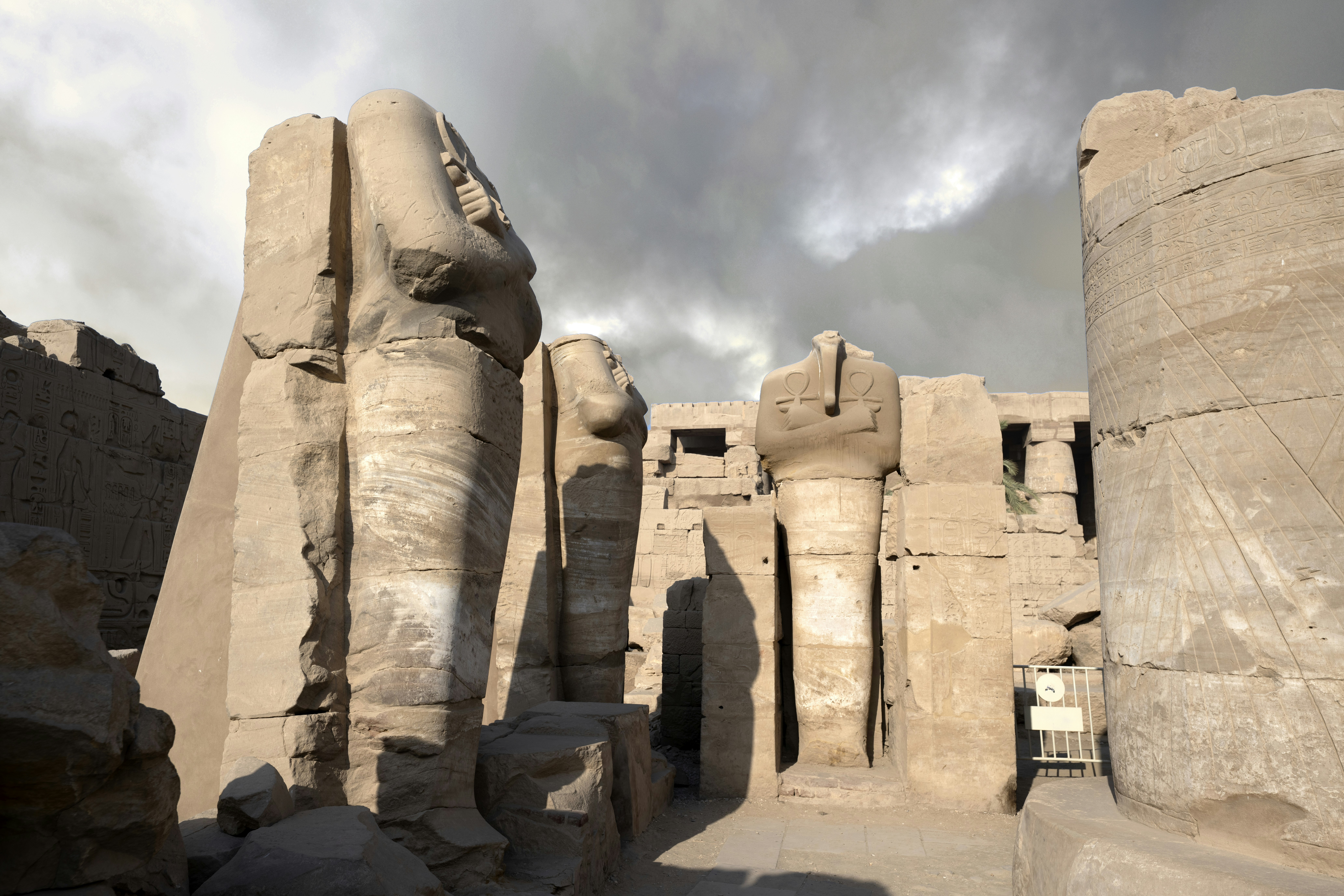 Photo by Dave Meckler with Nikon Z7 II