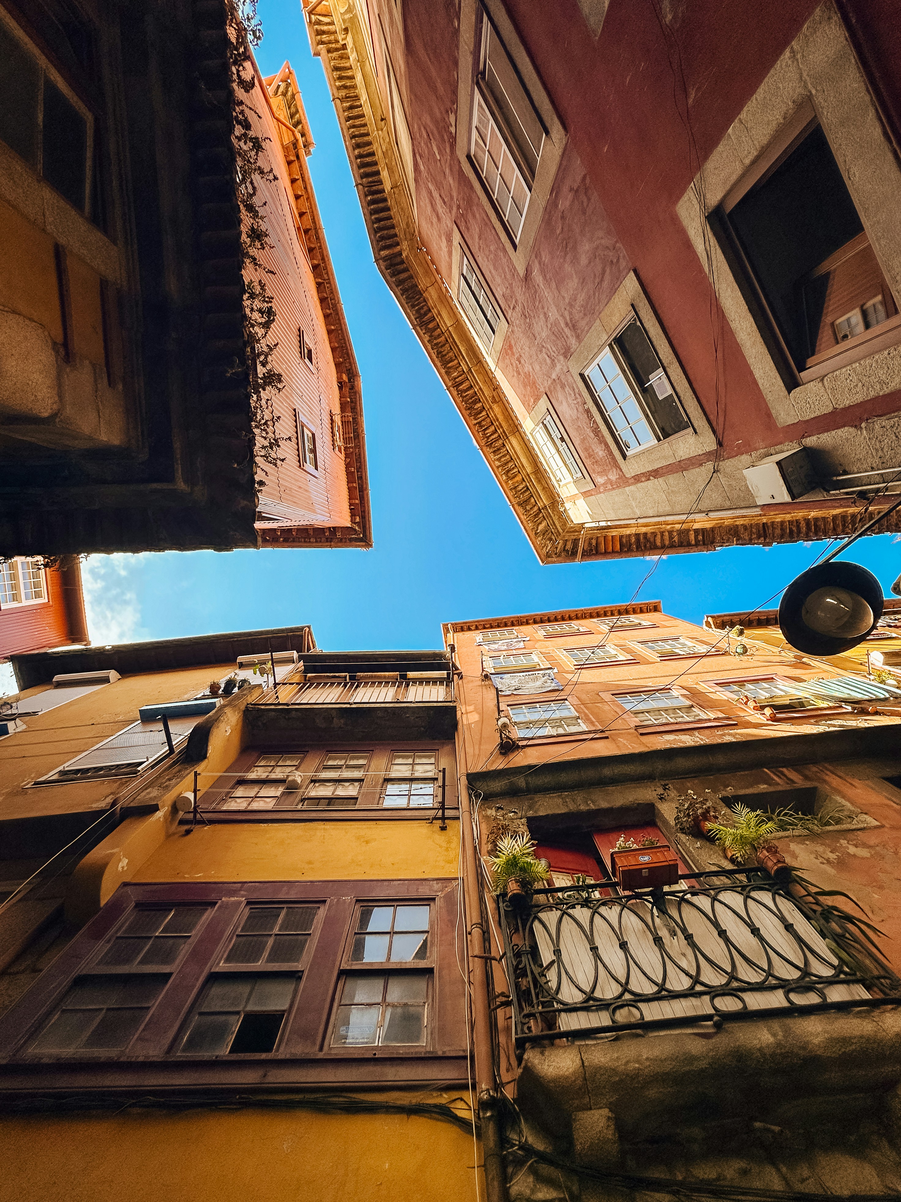 Photo by Nachos Camera with Apple iPhone 14 Pro