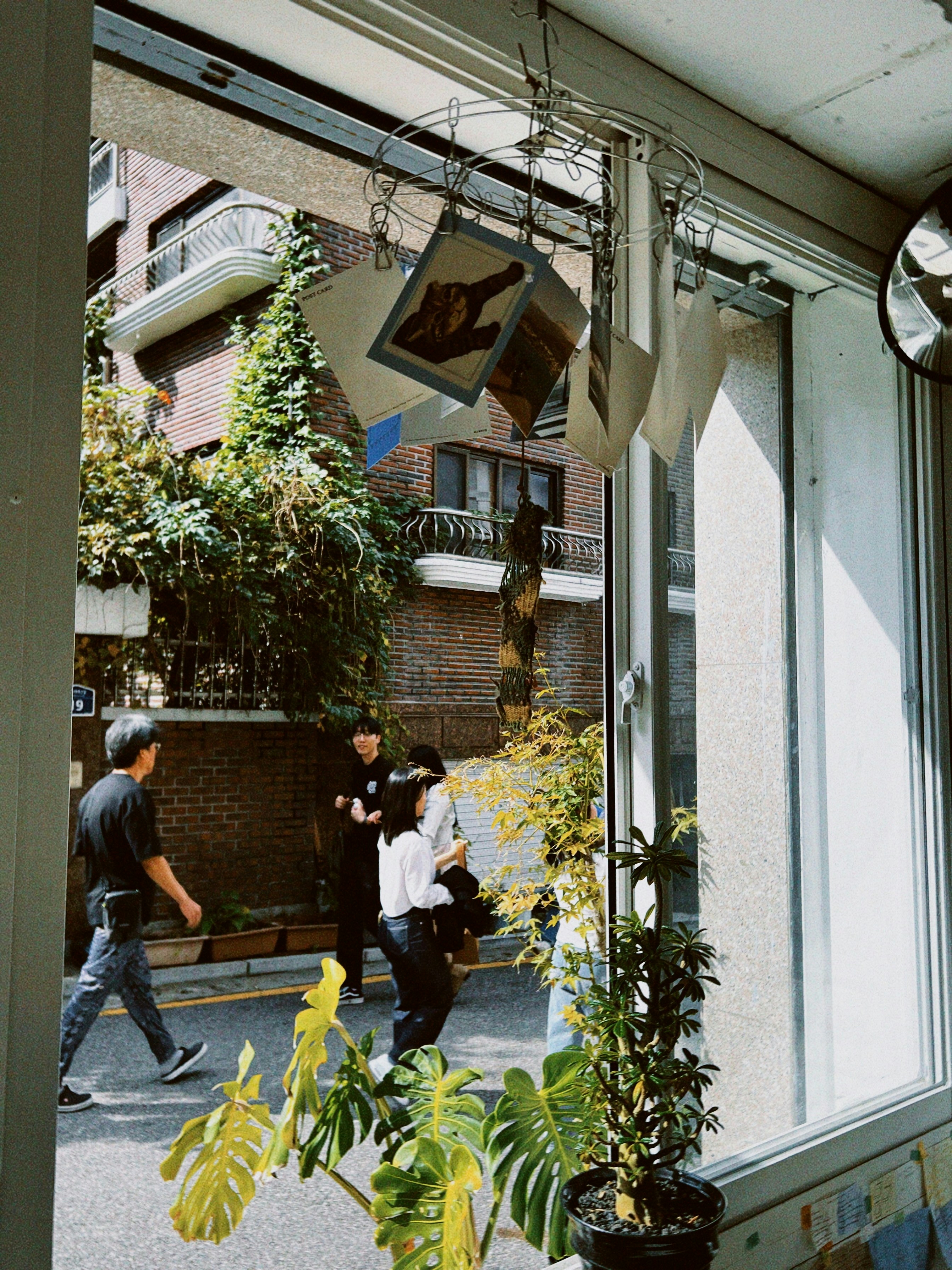 Urban Gallery Corridor: People, Plants, and Photographic Hopes