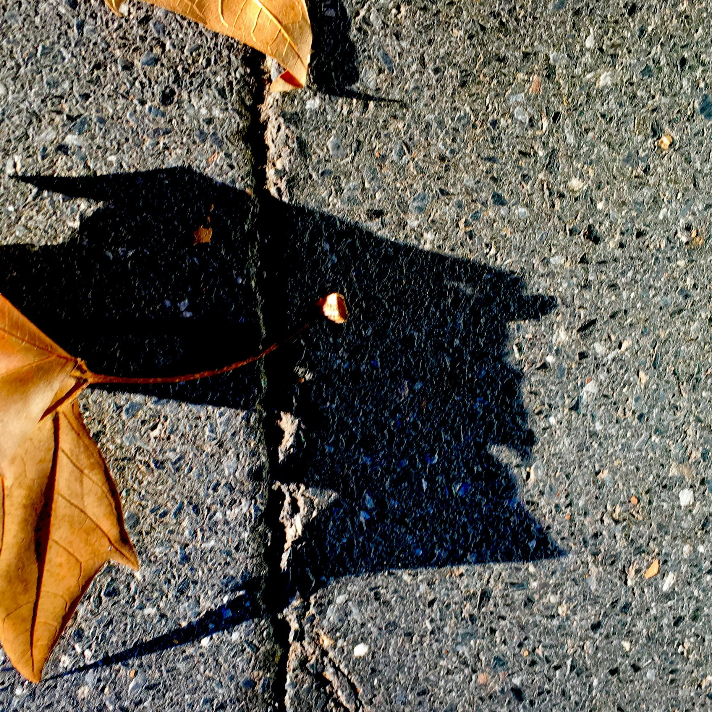 Photo by Russell Bradbury-Carlin with Apple iPhone 6s